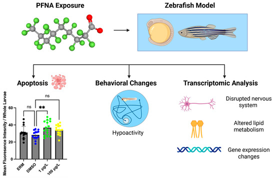 Transcriptome and Behavioral Assessment in Larval Zebrafish (Danio ...