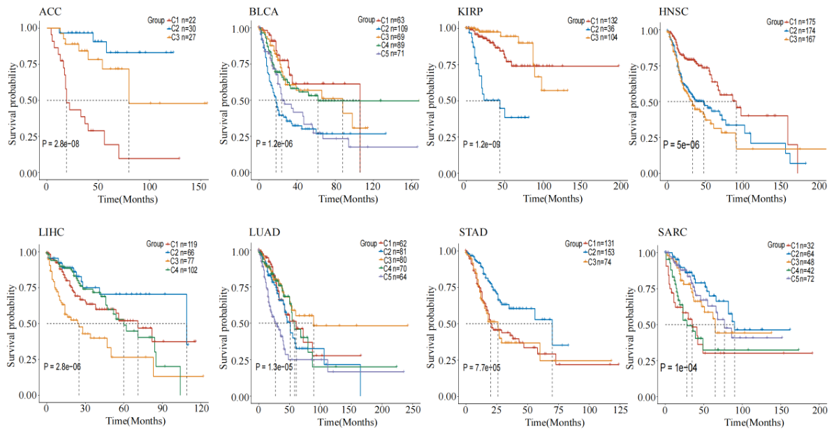 Multi-Omics Data Integration Clustering for Cancer Subtypes ...