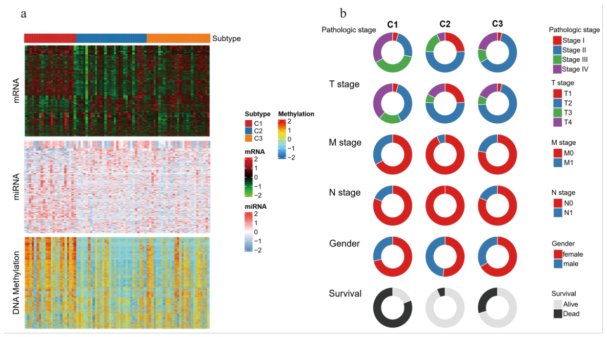 Multi-Omics Data Integration Clustering for Cancer Subtypes ...