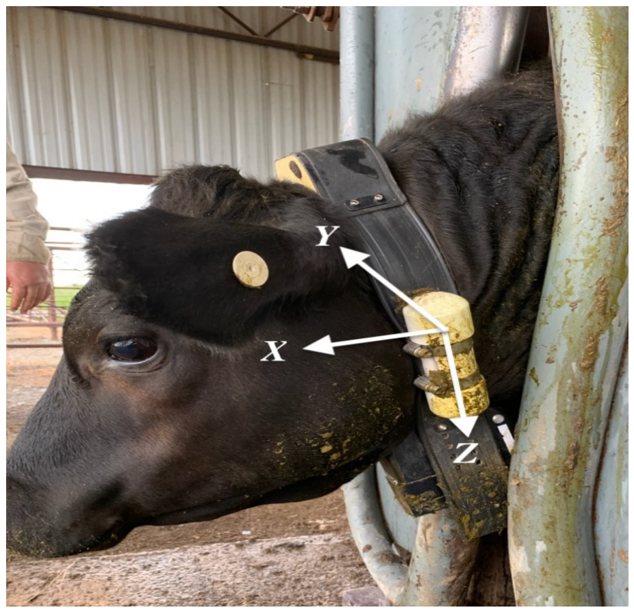 Use of Biometric Tags and Remote Sensing to Monitor Grazing Behavior ...