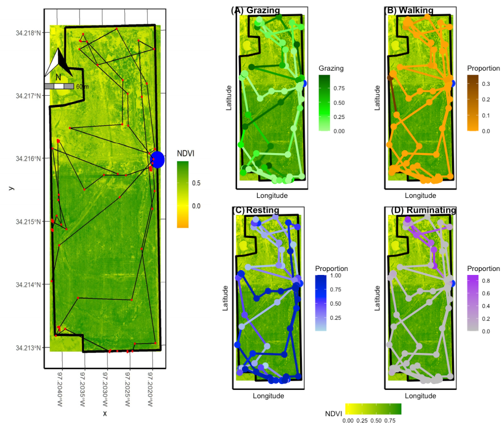 Use of Biometric Tags and Remote Sensing to Monitor Grazing Behavior ...