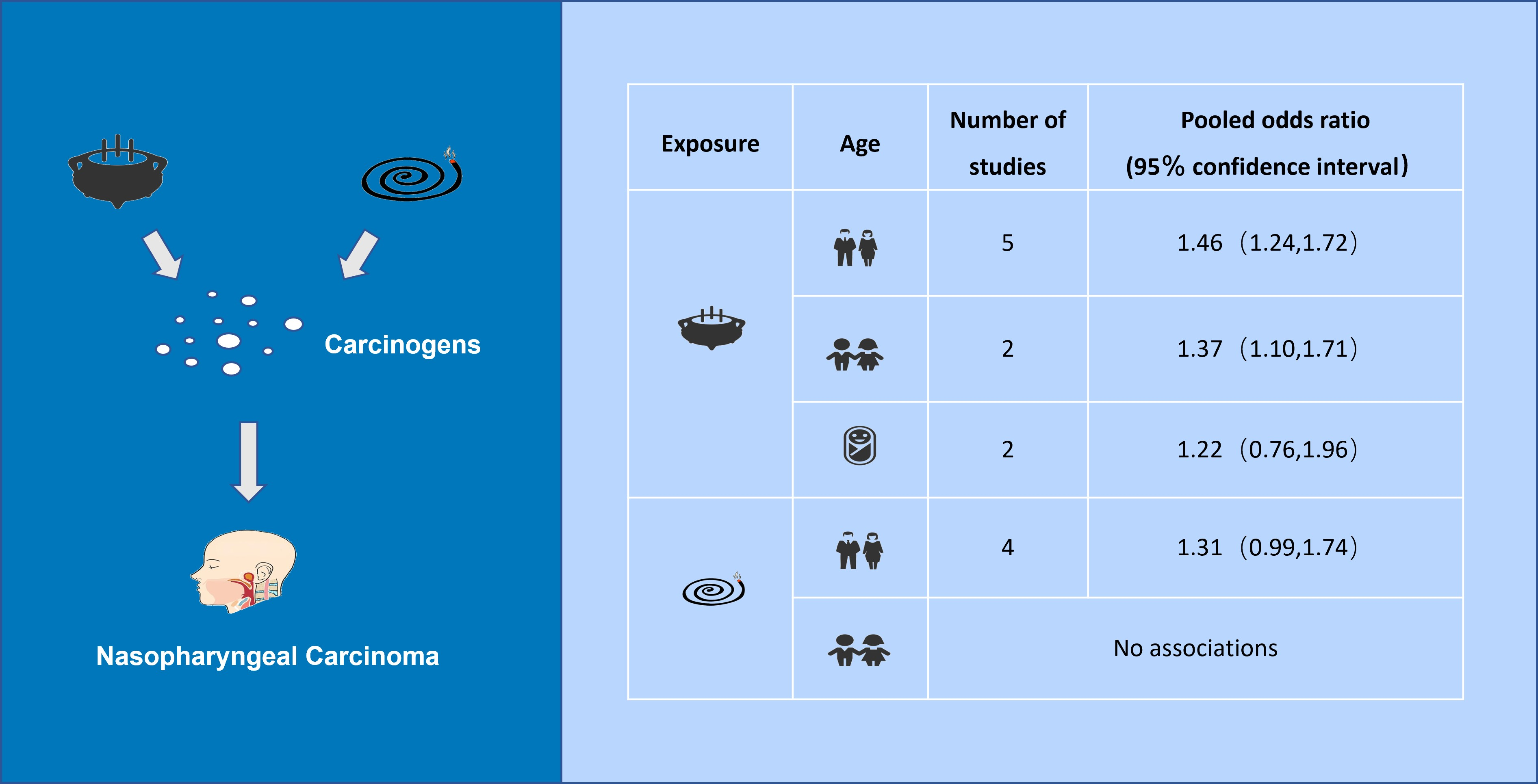 Domestic Burning of Incense and Mosquito Coils on the Risk of ...