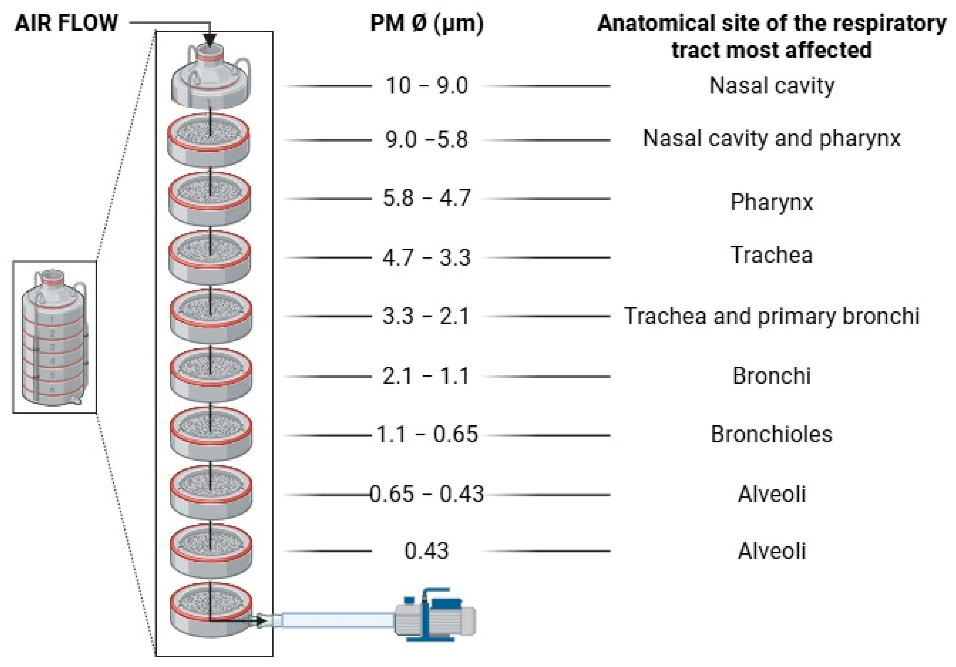 Health Risk Assessment Through Inhalation of Chemical Elements in ...