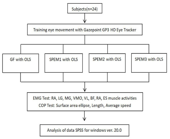 The Effects of Different Kinds of Smooth Pursuit Exercises on Center of ...