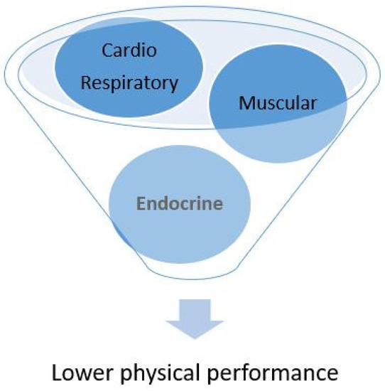 Ageing, Leisure Time Physical Activity and Health in Europe
