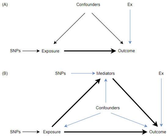 The Casual Association Inference for the Chain of Falls Risk Factors ...