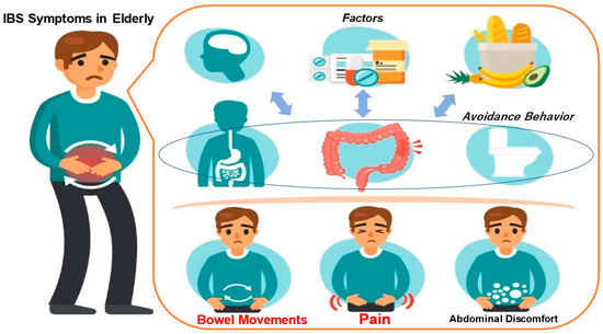 The Impact of Nutritional Therapy on Gastrointestinal Motility in Older ...