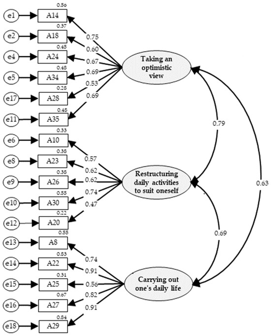 The Development of the Adaptive Behavior Scale for Stroke Survivors
