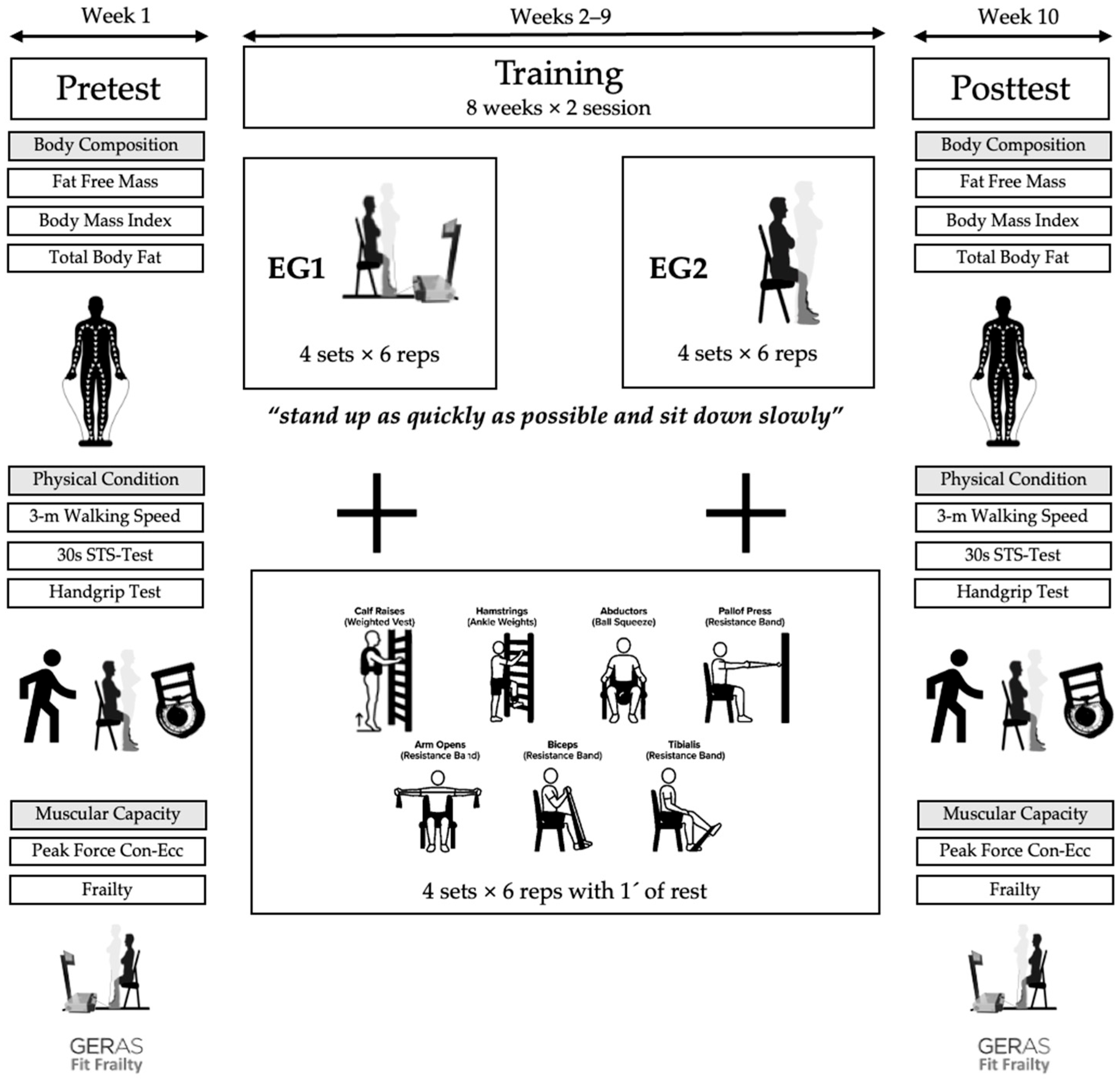 Comparison of Strength Training Interventions on Functional Performance ...