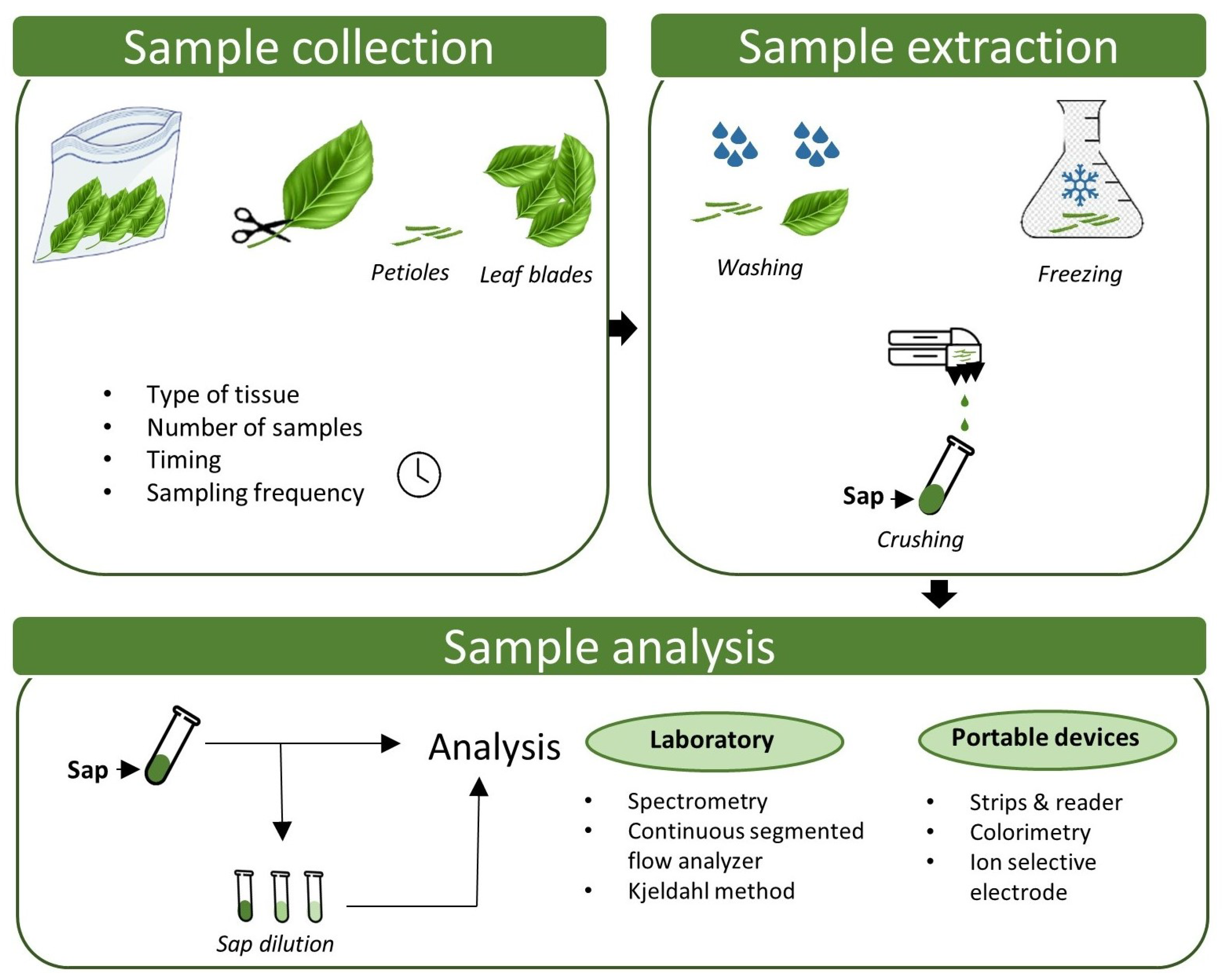 Horticulturae Free Full Text Sap Analysis A Powerful Tool For Horticulturae Free Full Text Sap Analysis A Powerful Tool For