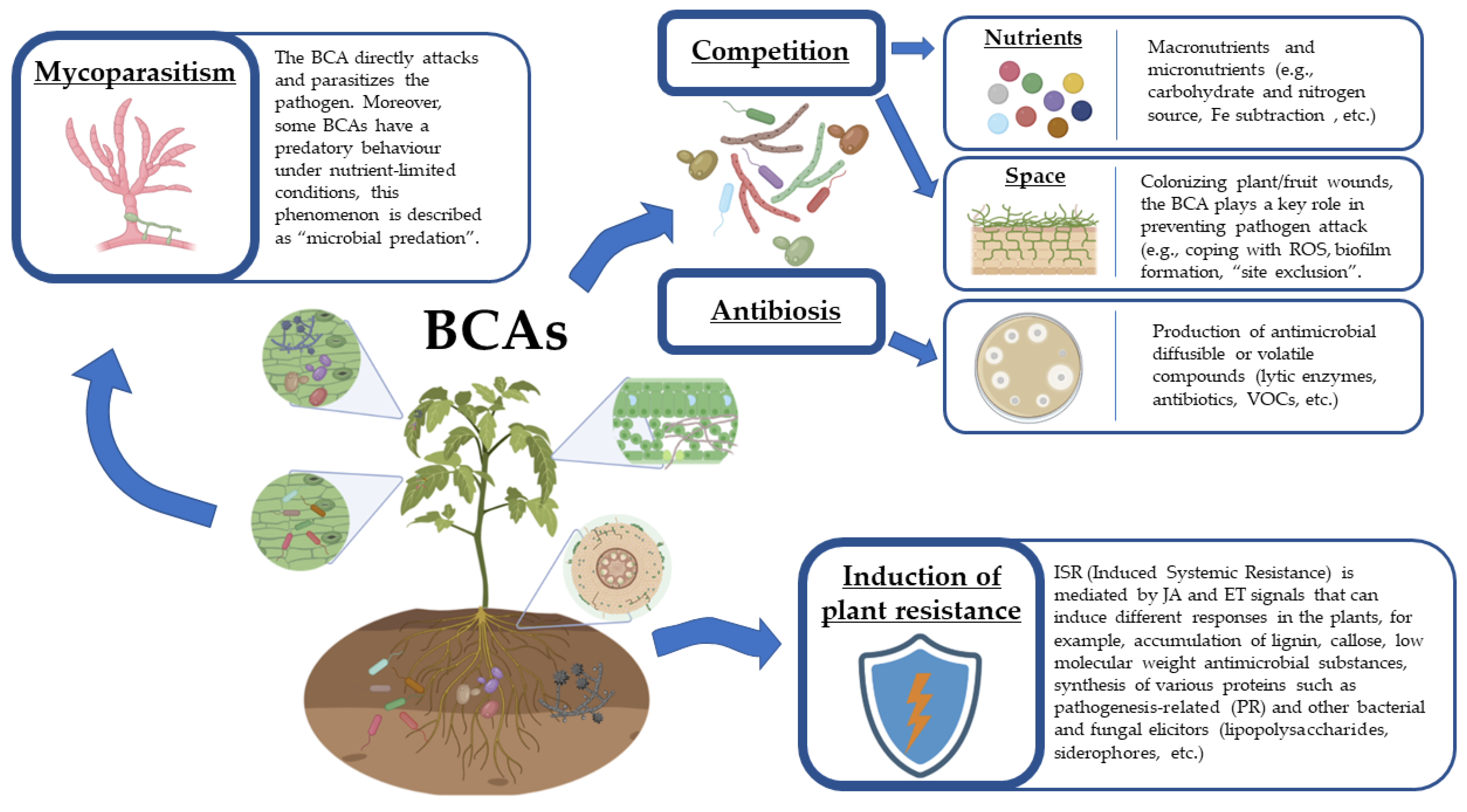 Commercial Production And Formulation Of Microbial 46 OFF Commercial Production And Formulation Of Microbial 46 OFF