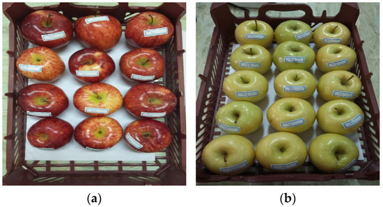 Non-Destructive Detection of Fruit Quality Parameters Using ...