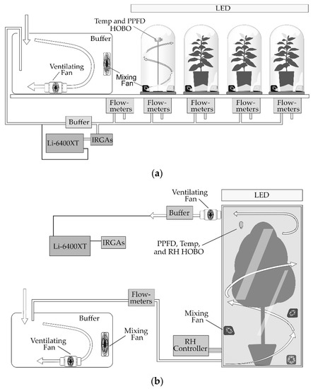 Whole-Canopy Photosynthetic Characterization of Apple Tree and the ...