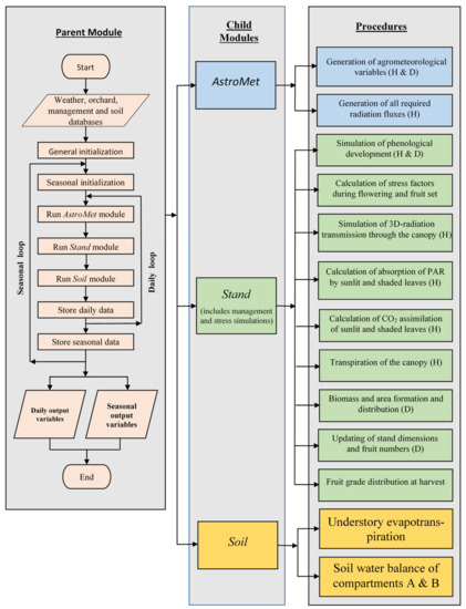 Apple and Pear Model for Optimal Production and Fruit Grade in a ...
