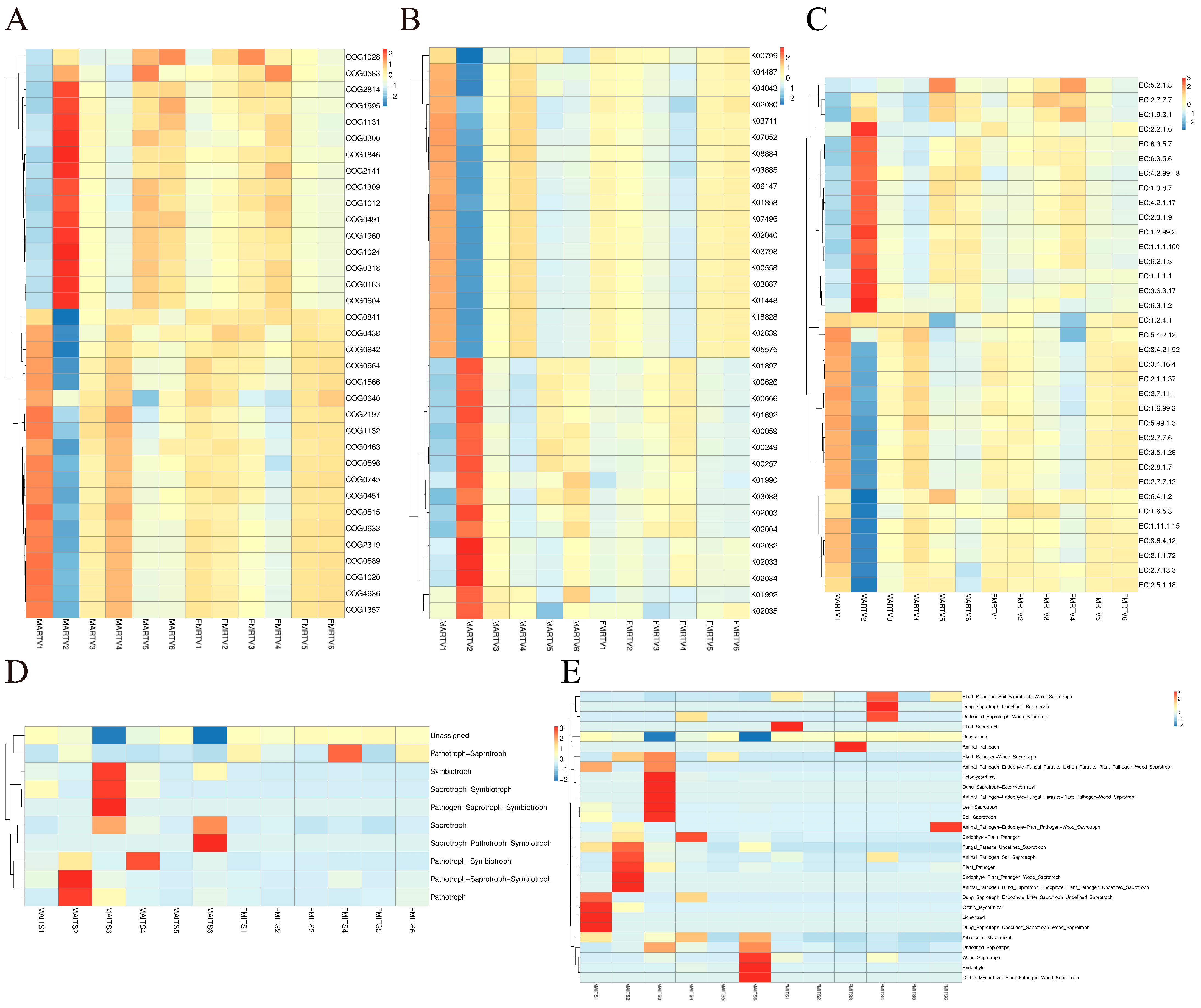 Research on the Mechanism of Root Endophytes of Morus alba L. and ...