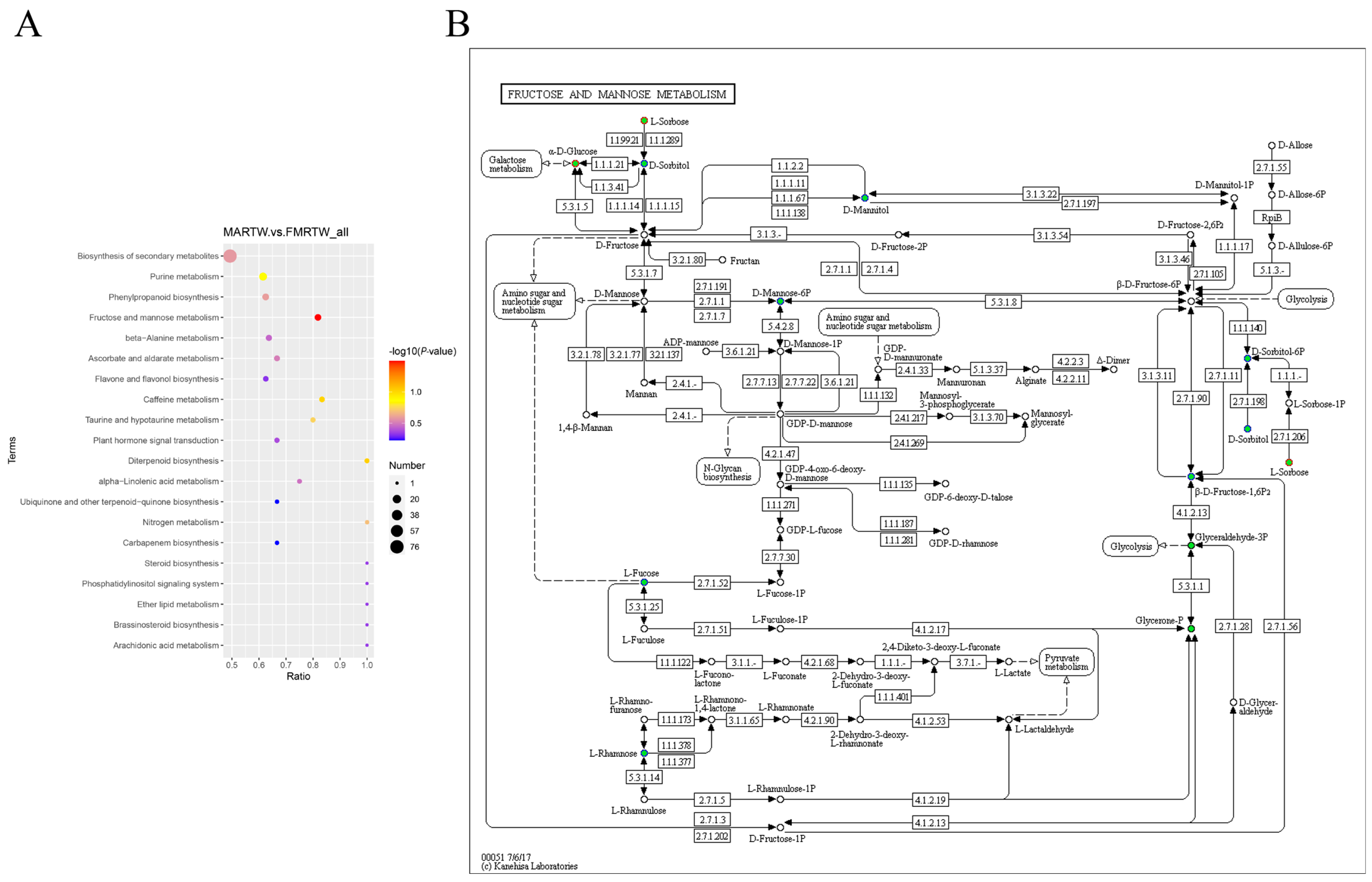 Research on the Mechanism of Root Endophytes of Morus alba L. and ...