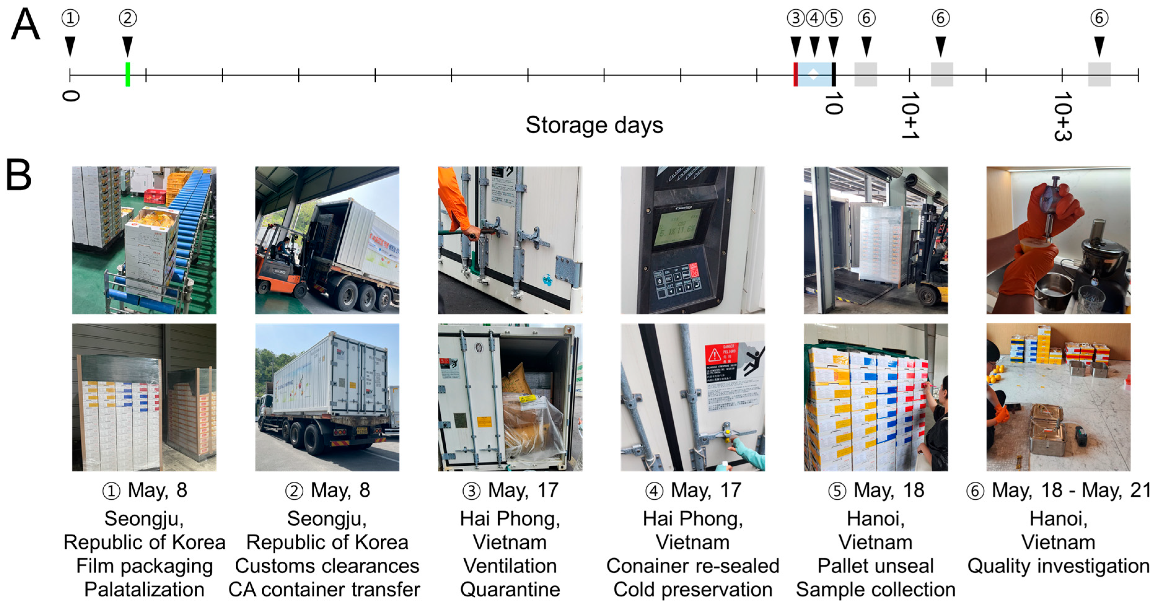 Field Validation of OTR-Modified Atmosphere Packaging Under Controlled ...
