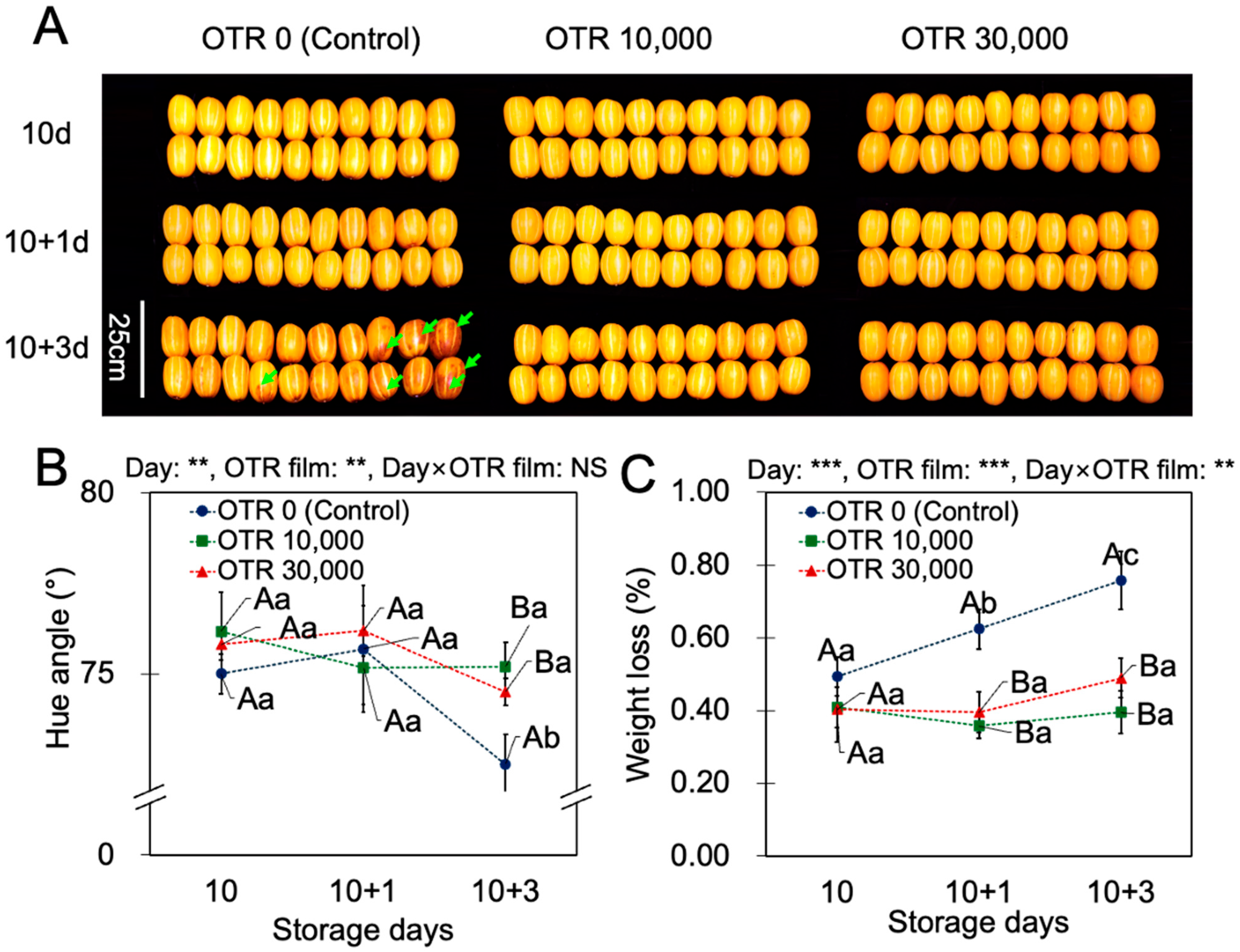 Field Validation of OTR-Modified Atmosphere Packaging Under Controlled ...