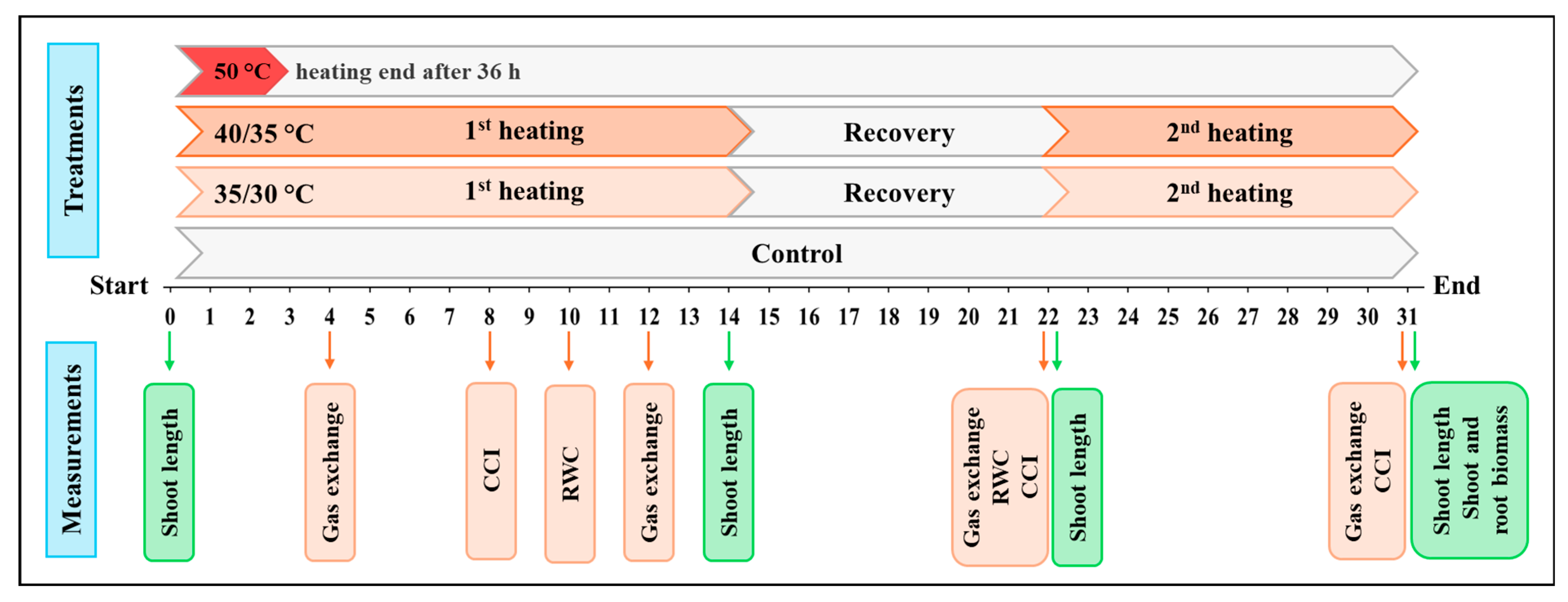 Effects of High Root-Zone Temperature on the Physiology and Growth of ...