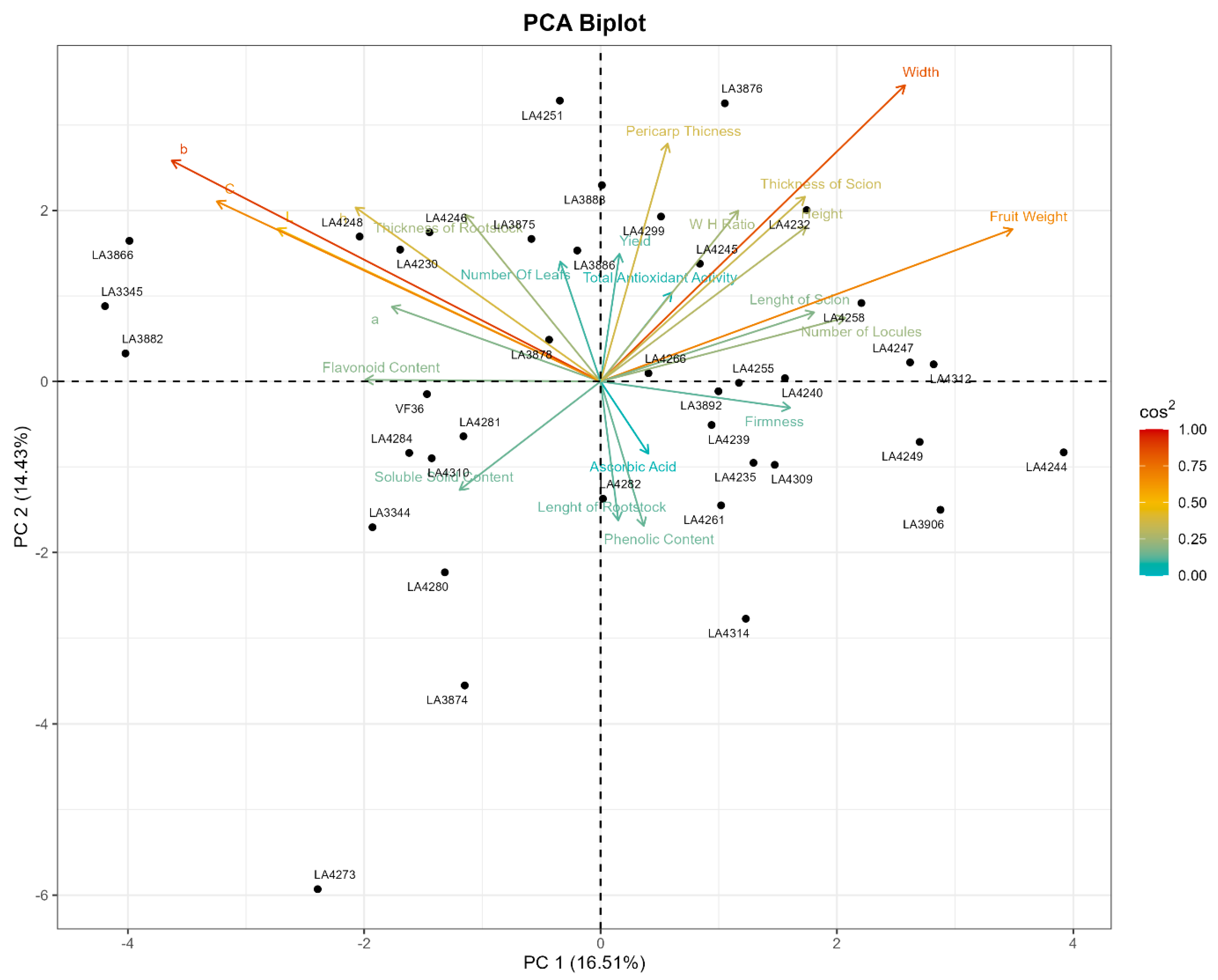 Solanum lycopersicoides Introgression Lines Used as Rootstocks Uncover ...