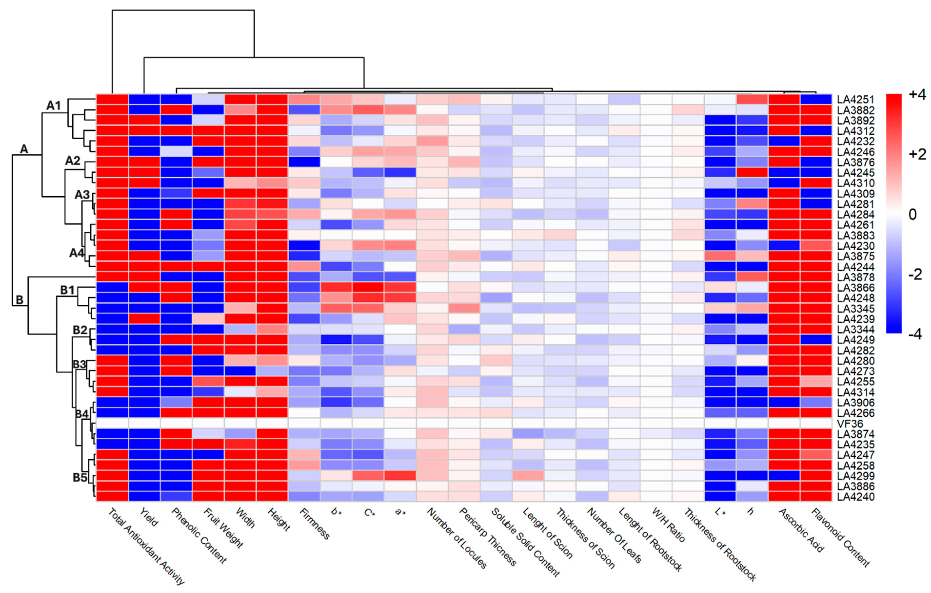 Solanum lycopersicoides Introgression Lines Used as Rootstocks Uncover ...