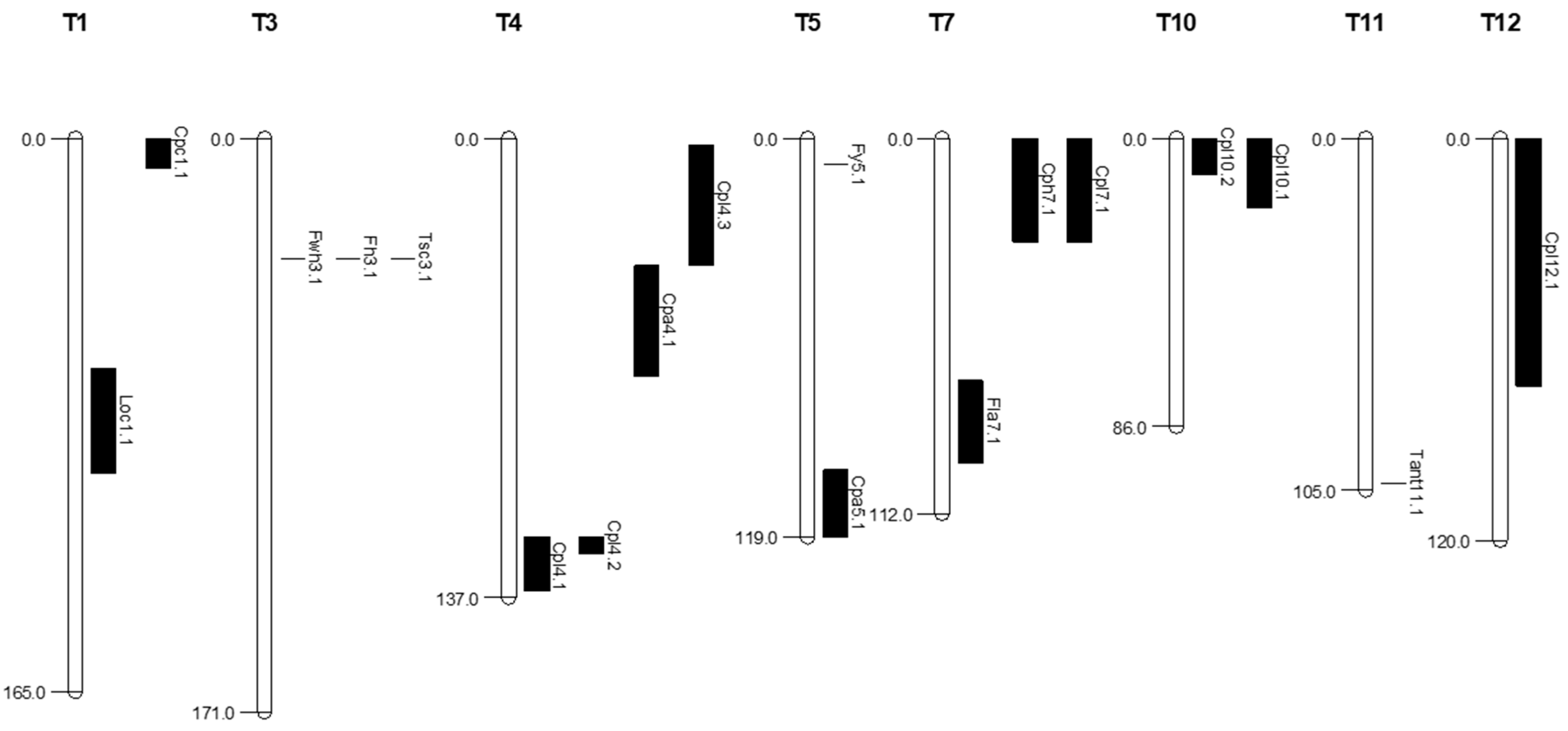 Solanum lycopersicoides Introgression Lines Used as Rootstocks Uncover ...