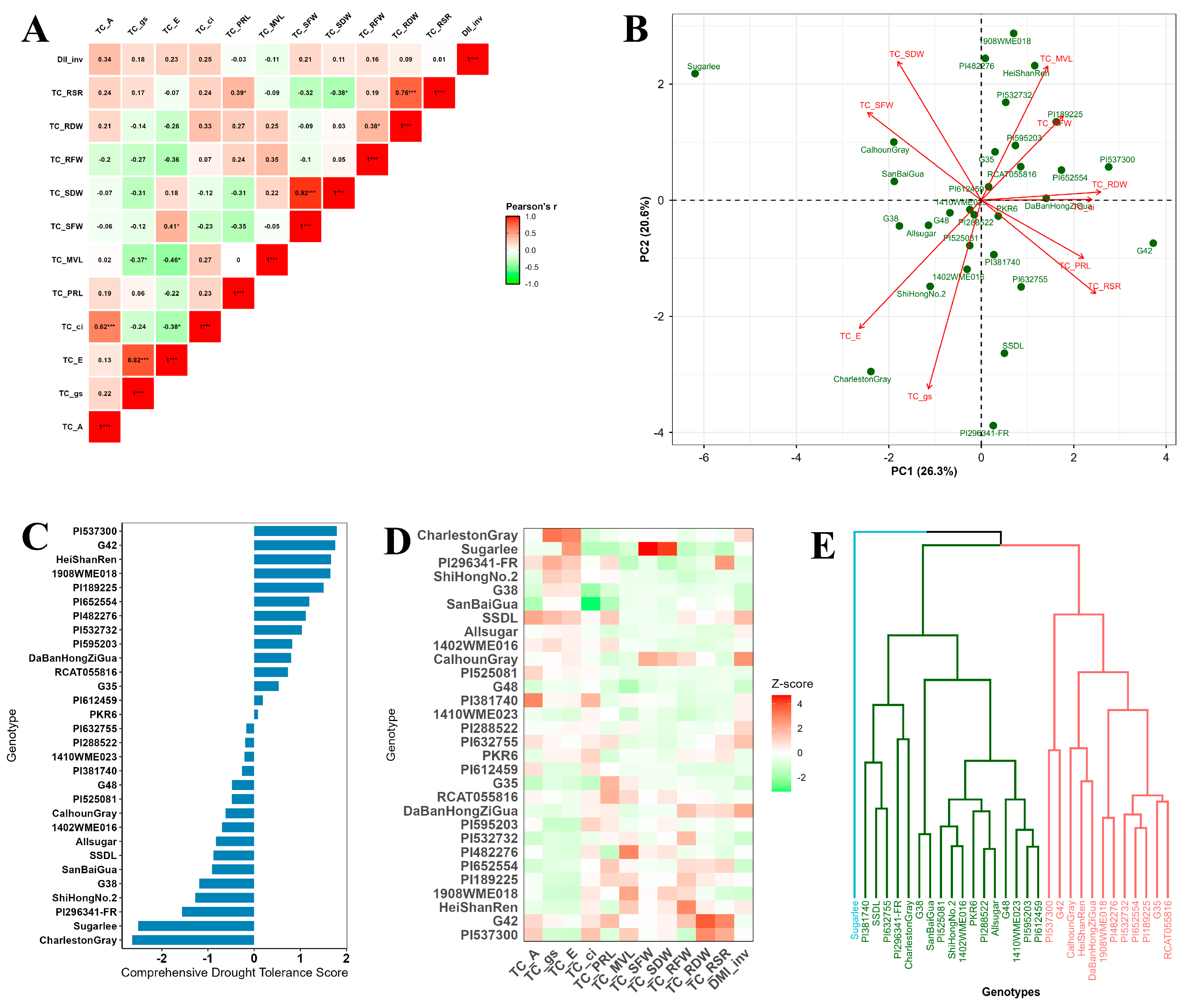 A Comparative Analysis of High-Throughput and Conventional Phenotyping ...