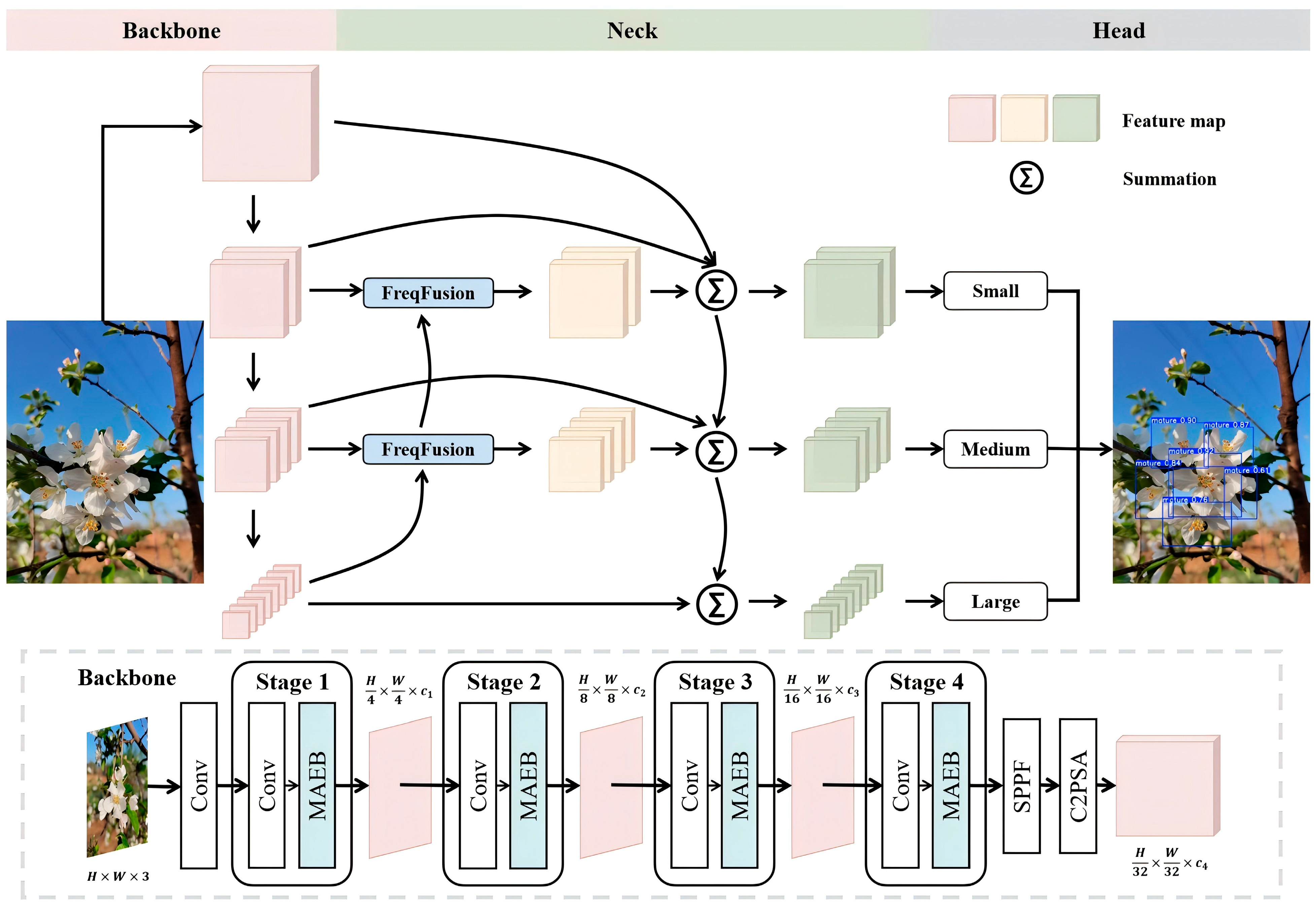LEAF-Net: A Multi-Scale Frequency-Aware Framework for Automated Apple ...