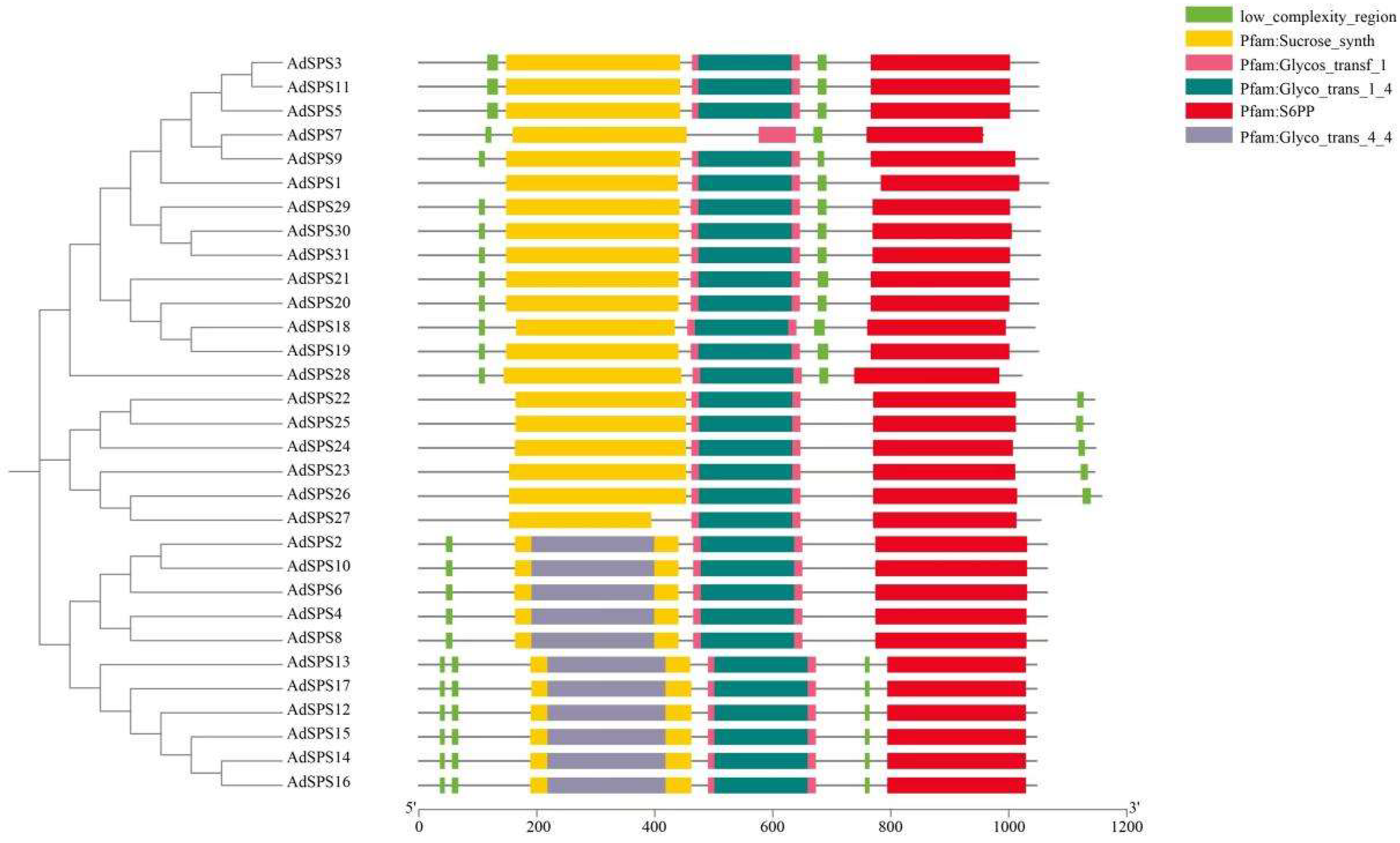 Genome-Wide Identification of the AdSPS Gene Family and Light Quality ...