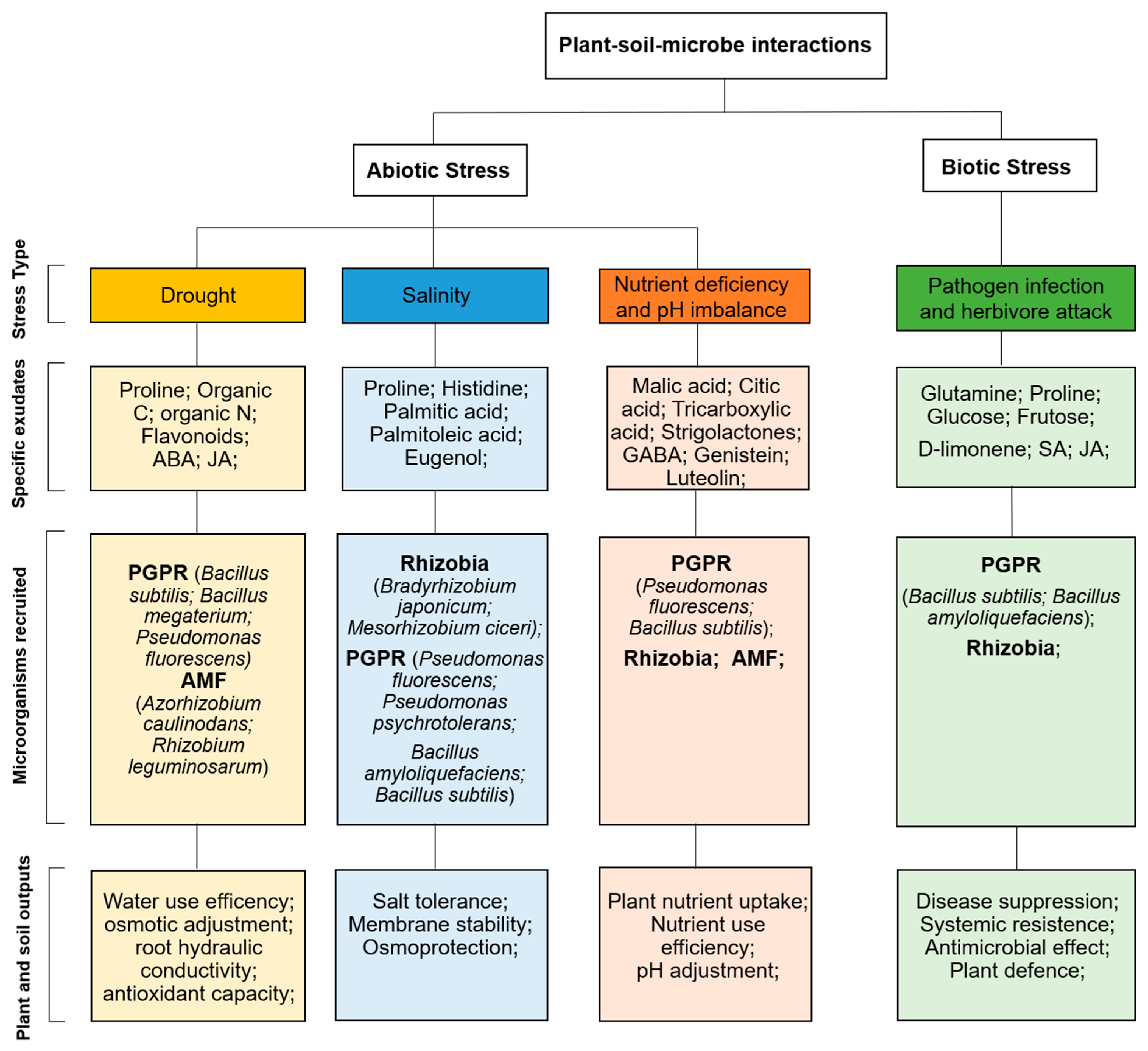 Exploring the Role of Root Exudates in Shaping Plant–Soil–Microbe ...