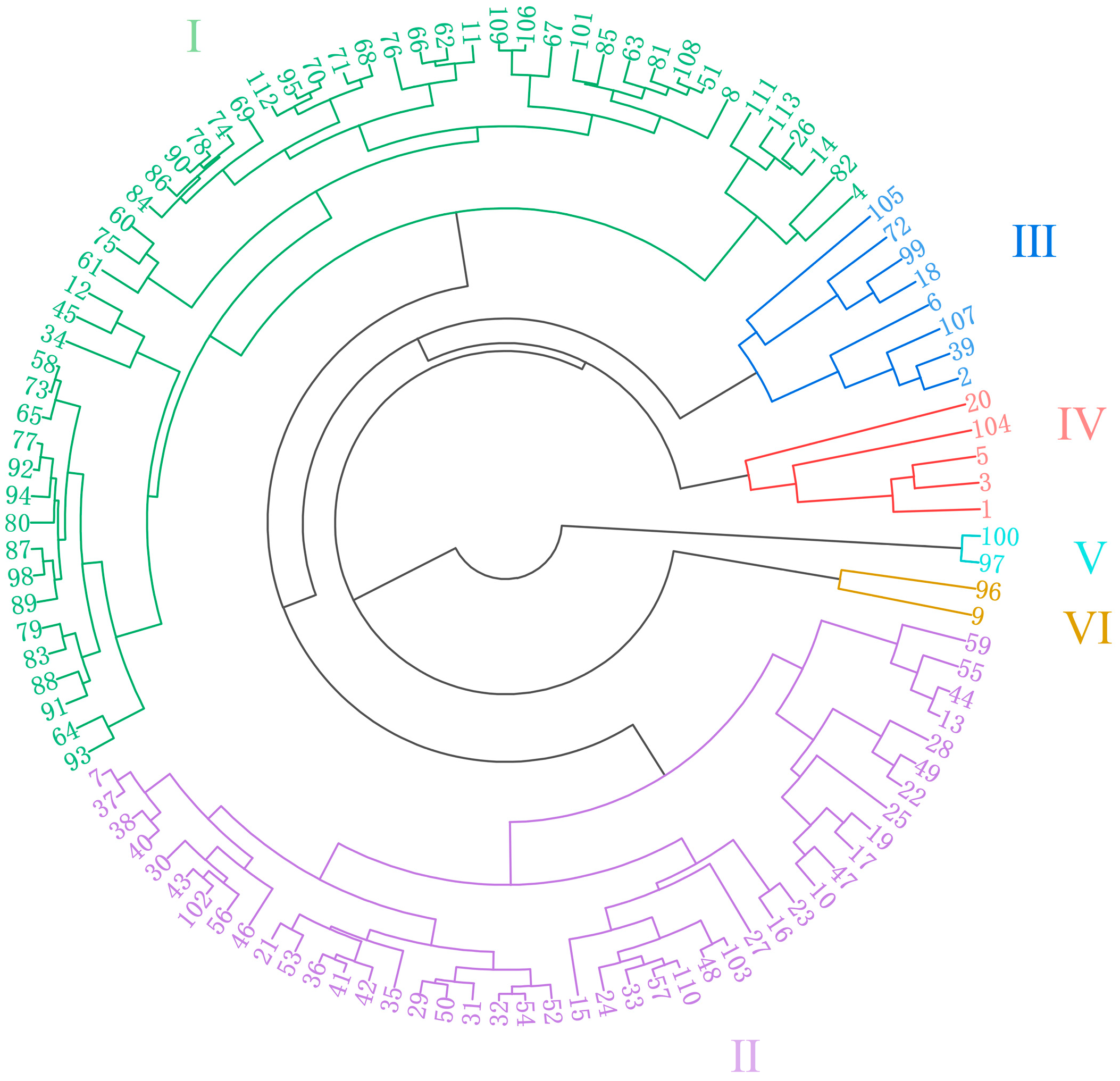 Evaluation of Fruit Quality in Processing Tomato Germplasm Resources