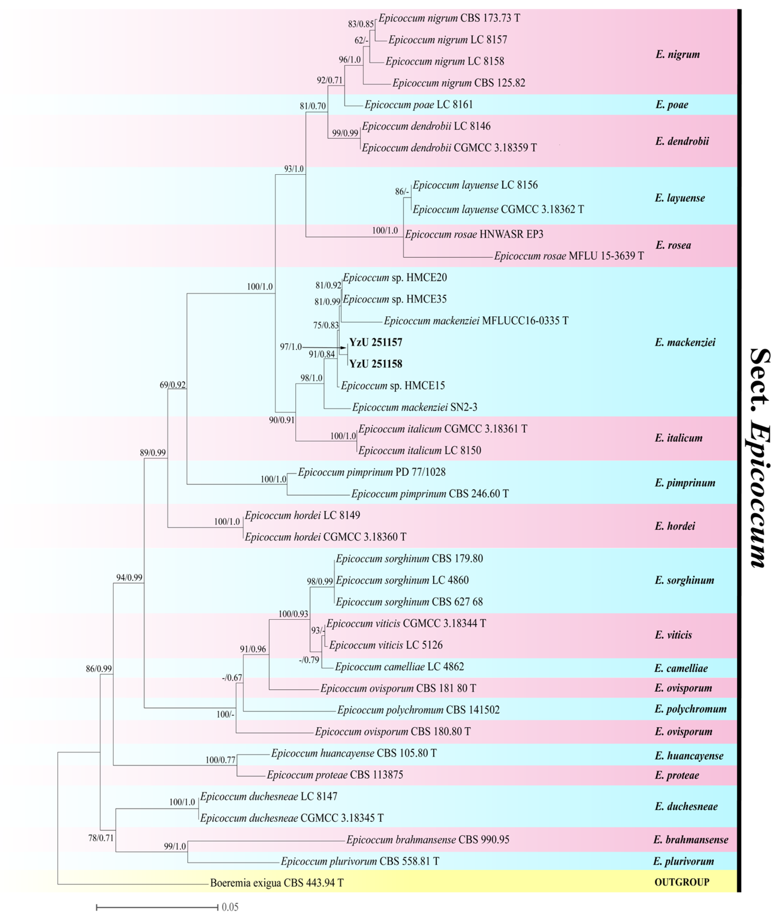 Identification and Pathogenicity of Fungal Pathogens Associated with ...