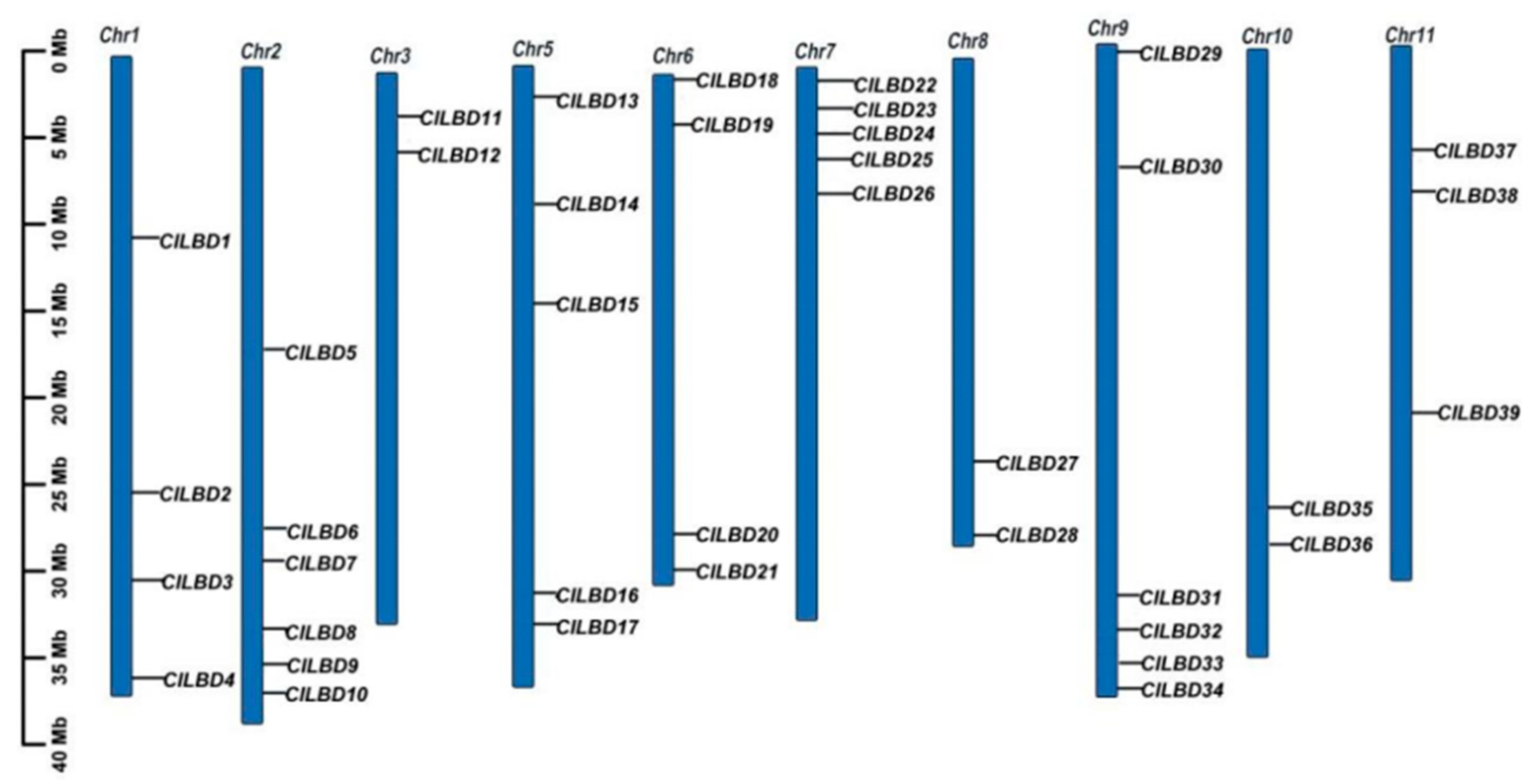 Genome-Wide Identification of LBD Transcription Factors Revealed the ...