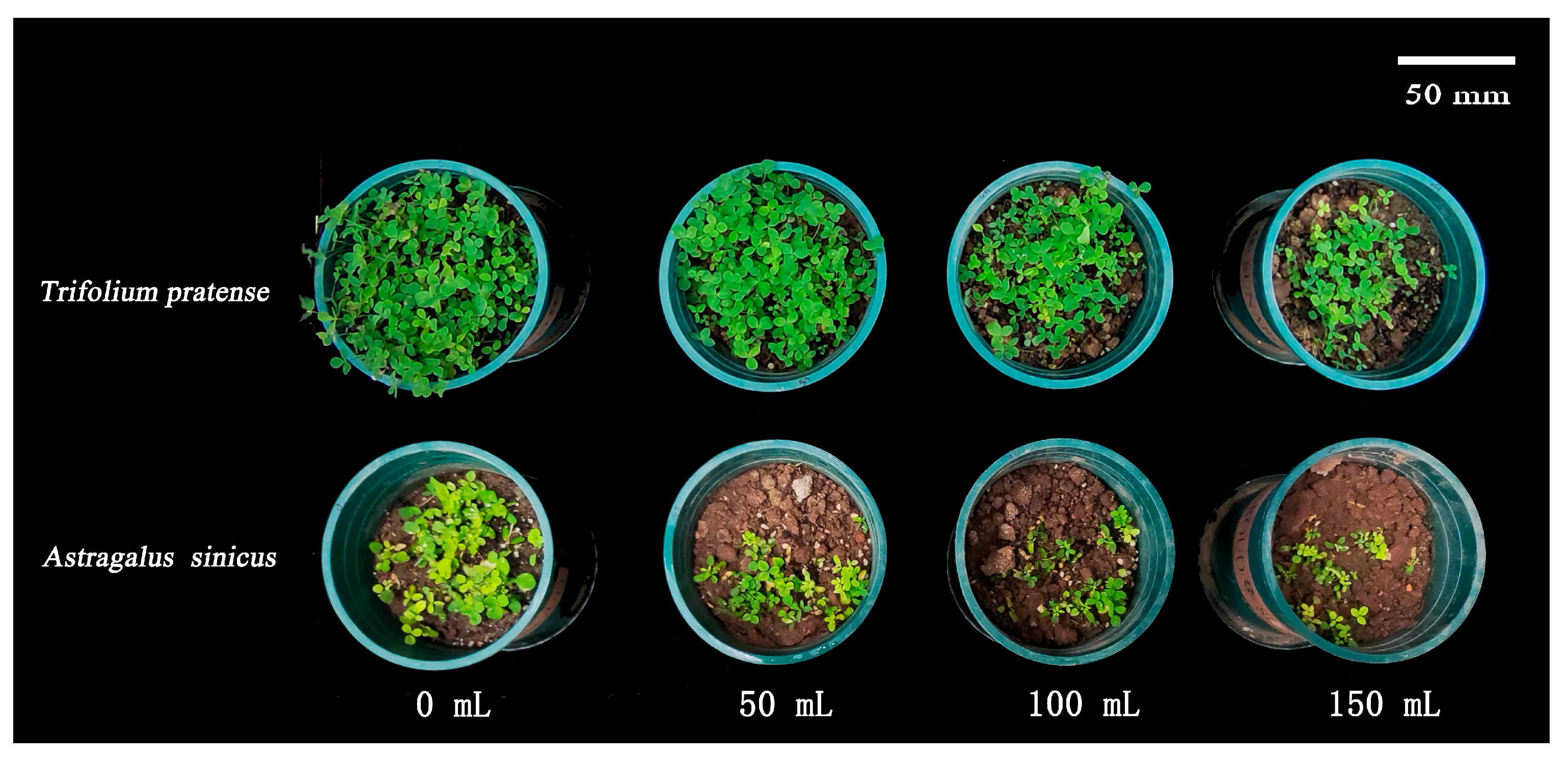 Effects of Waste Drilling Fluid on Physiological Characteristics of Two ...