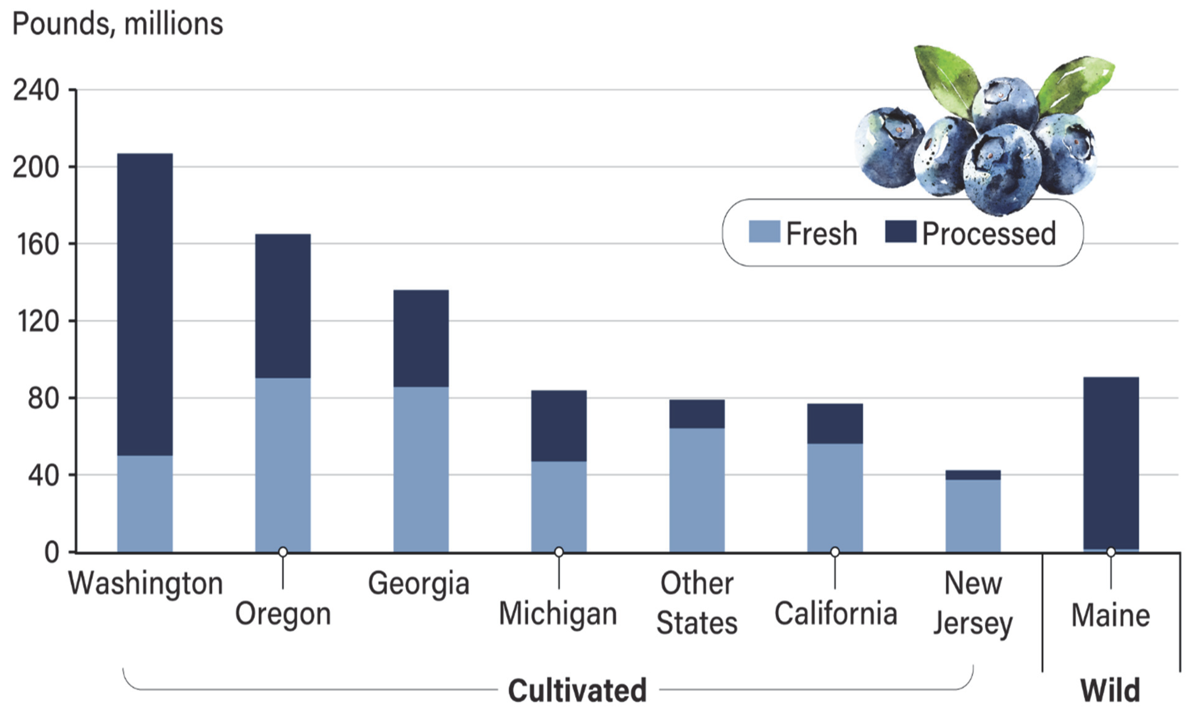 Phytochemical Characterization and Antioxidant Activity of Four ...