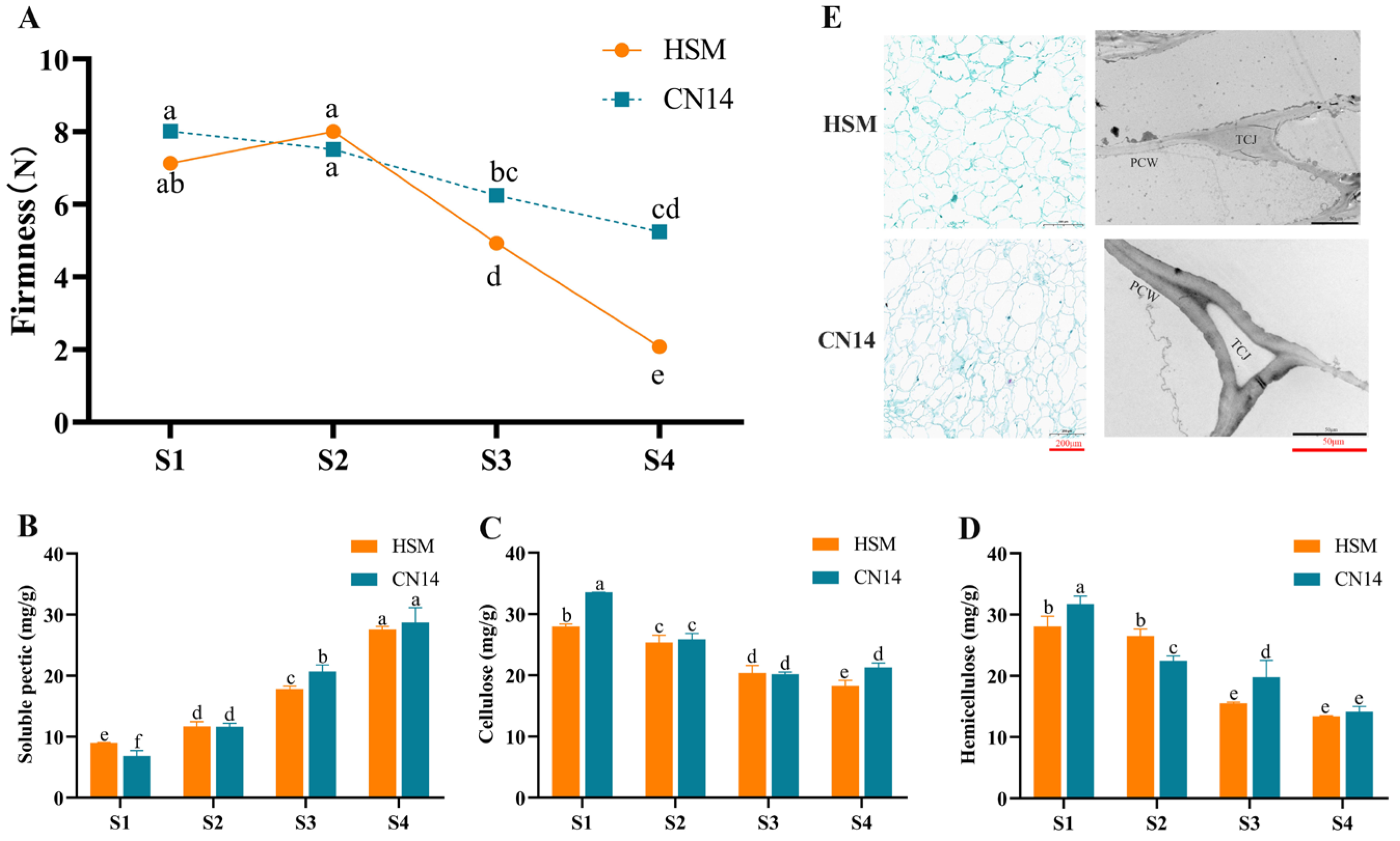 Expansin Gene PpEXPA13, Regulated by PpMYC2, Promotes Fruit Softening ...