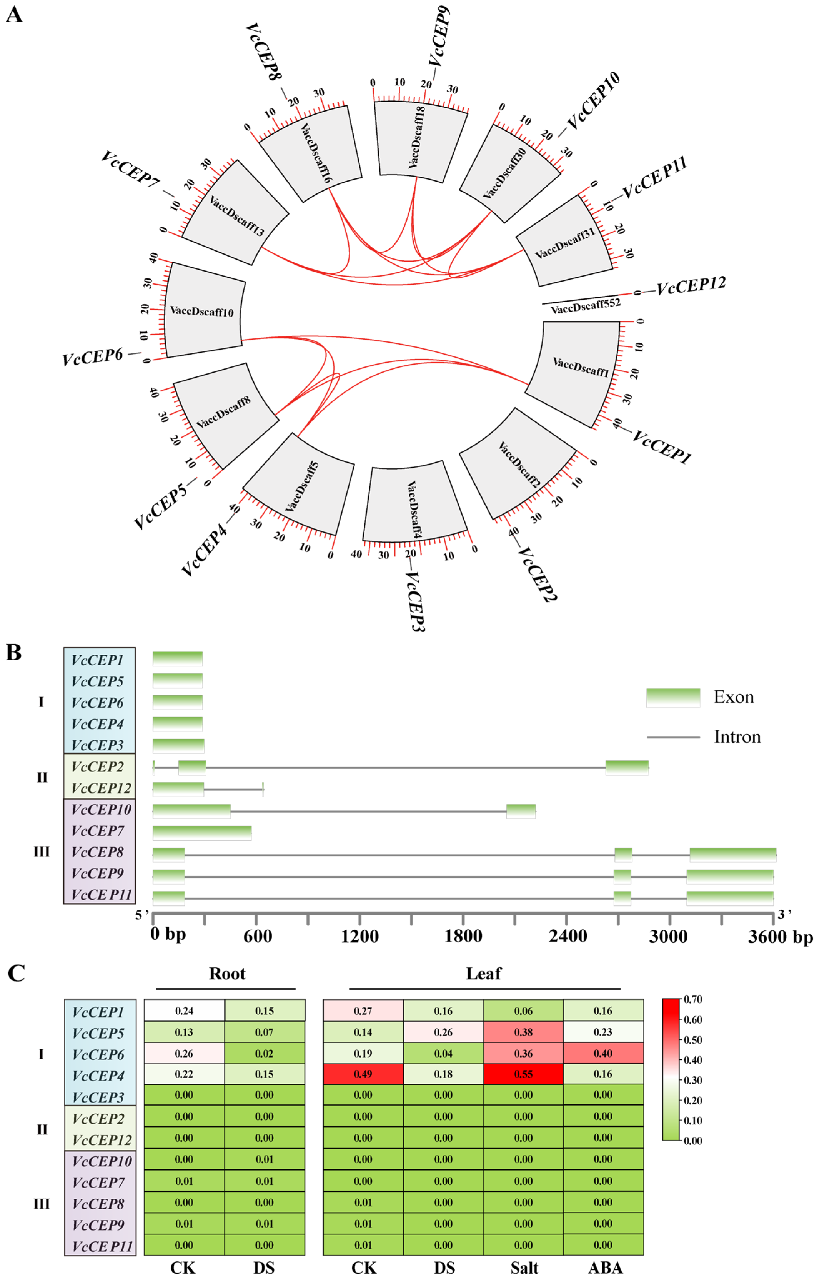 Characterization of C-Terminally Encoded Peptide (CEP) Genes in ...