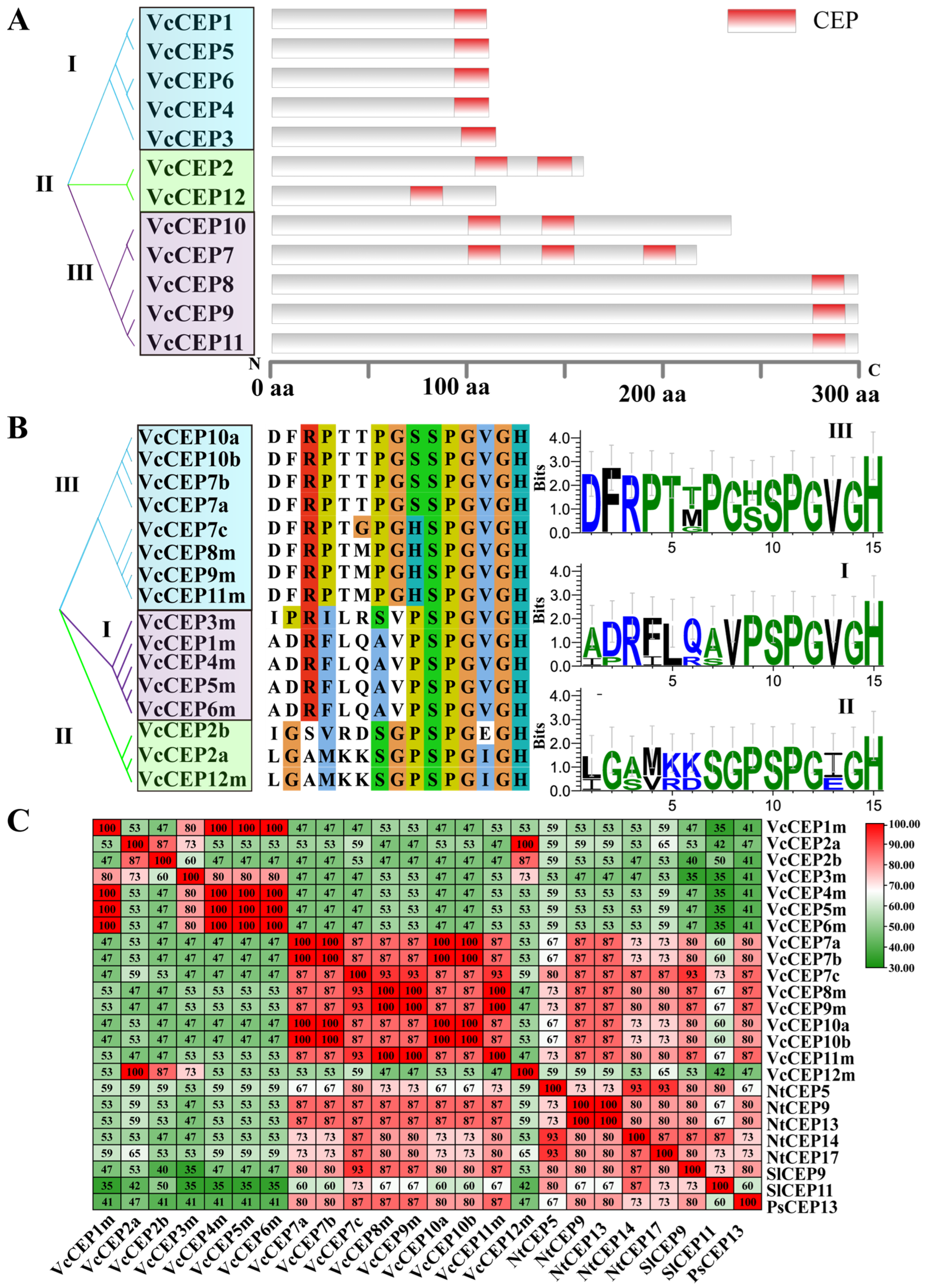 Characterization of C-Terminally Encoded Peptide (CEP) Genes in ...