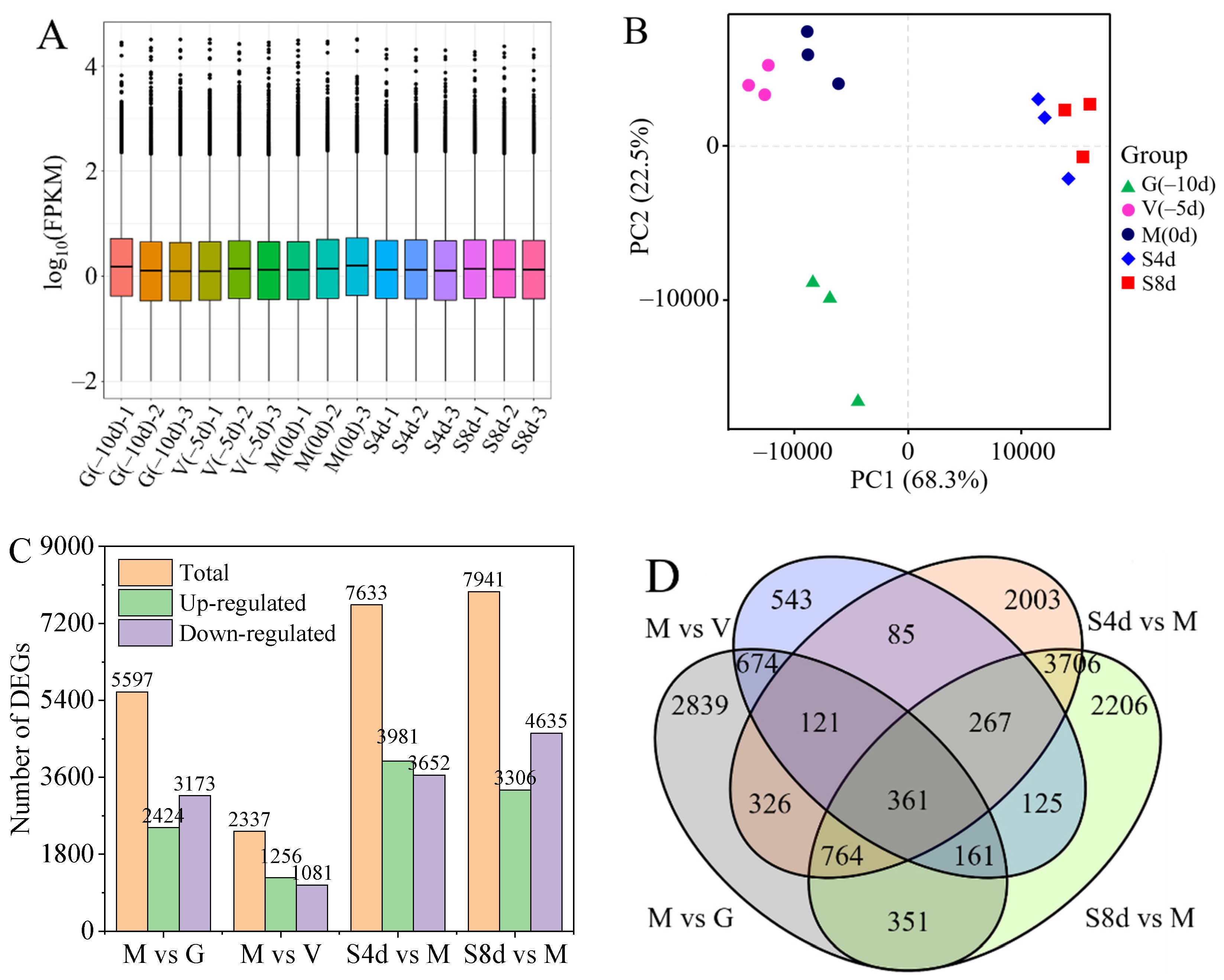 Integrated Oxidative Stress, Cell Wall Modification, and Transcriptomic ...