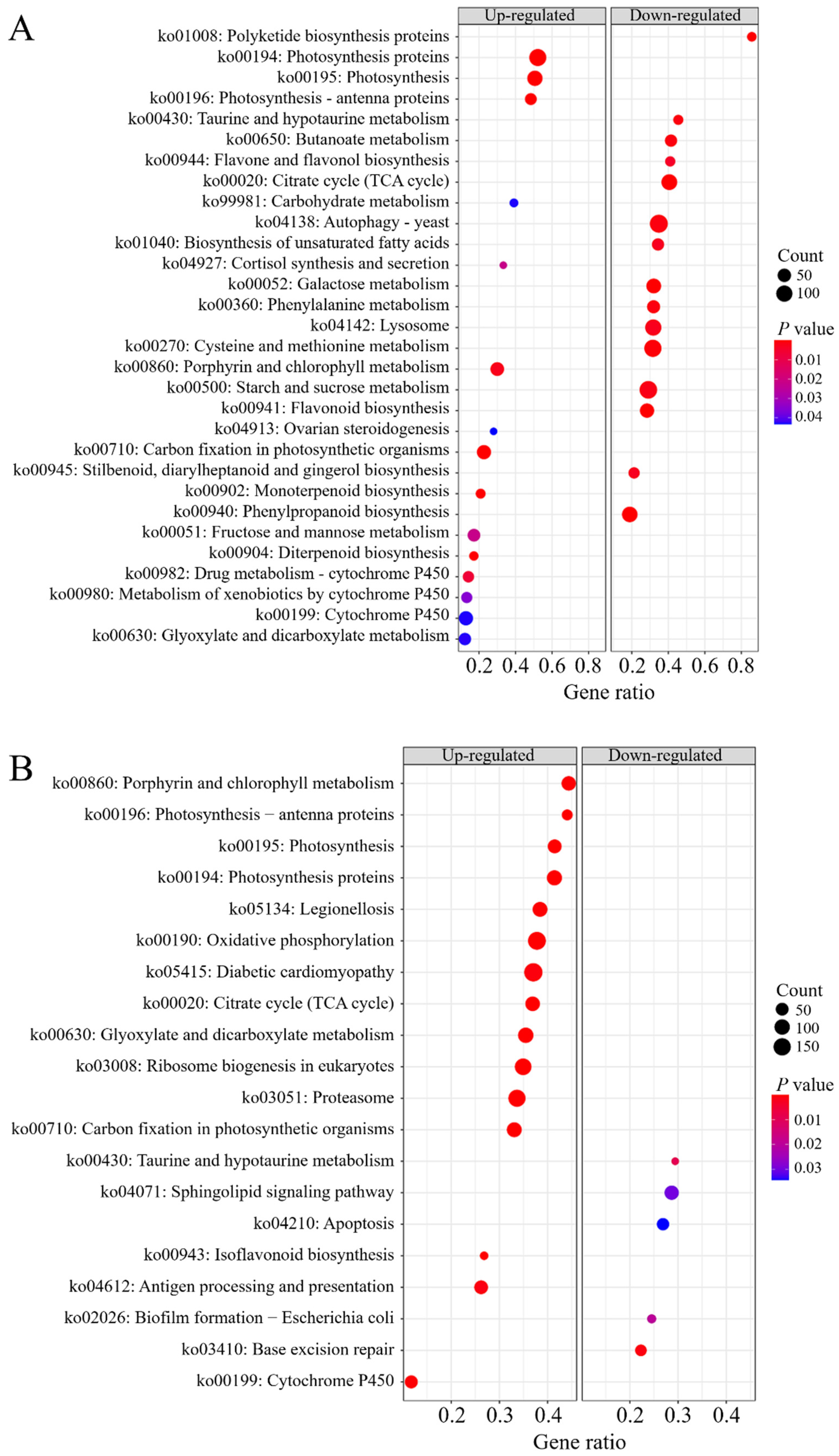 Integrated Oxidative Stress, Cell Wall Modification, and Transcriptomic ...
