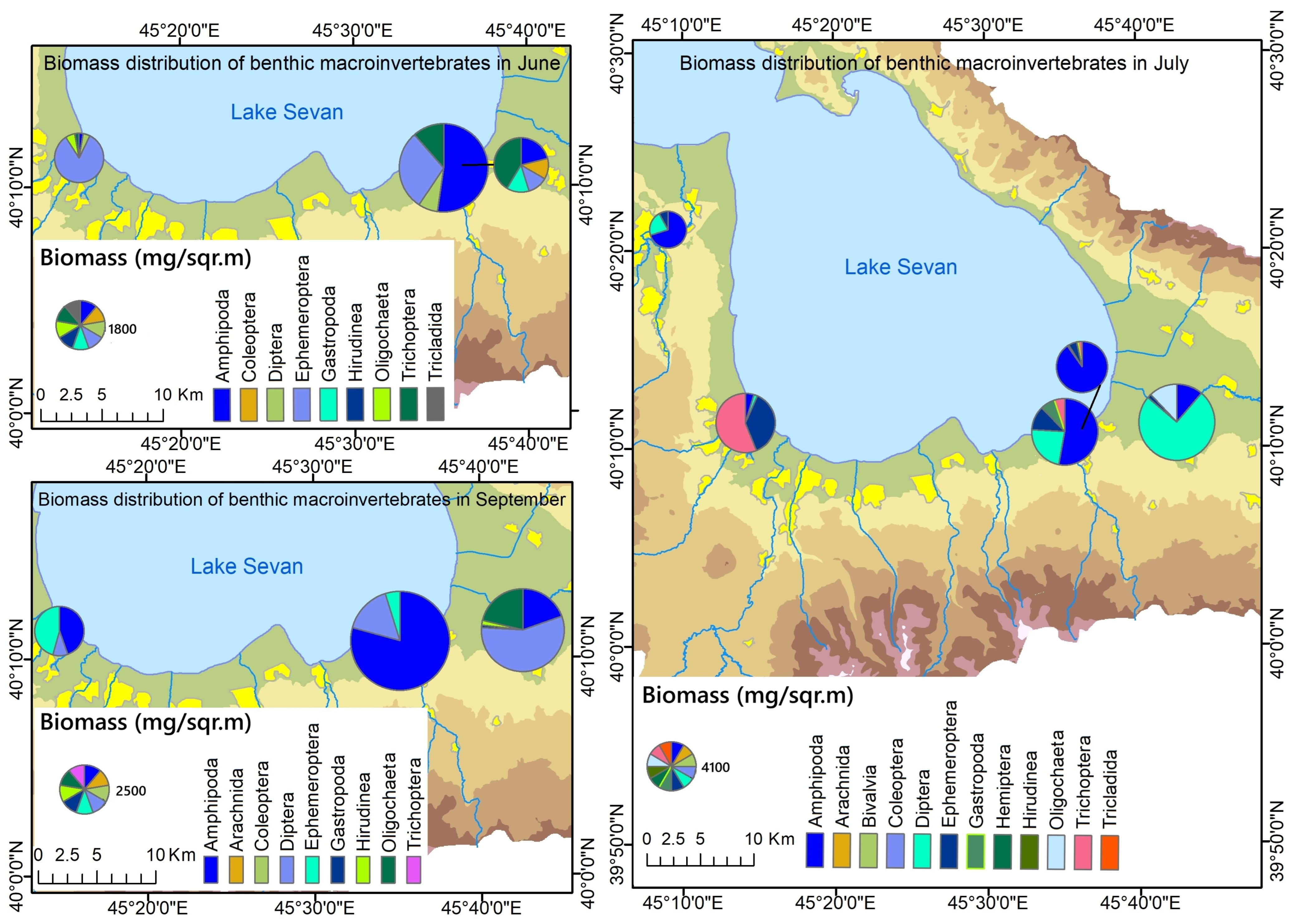 Unveiling Priority Actions and Opportunities for the Restoration of ...