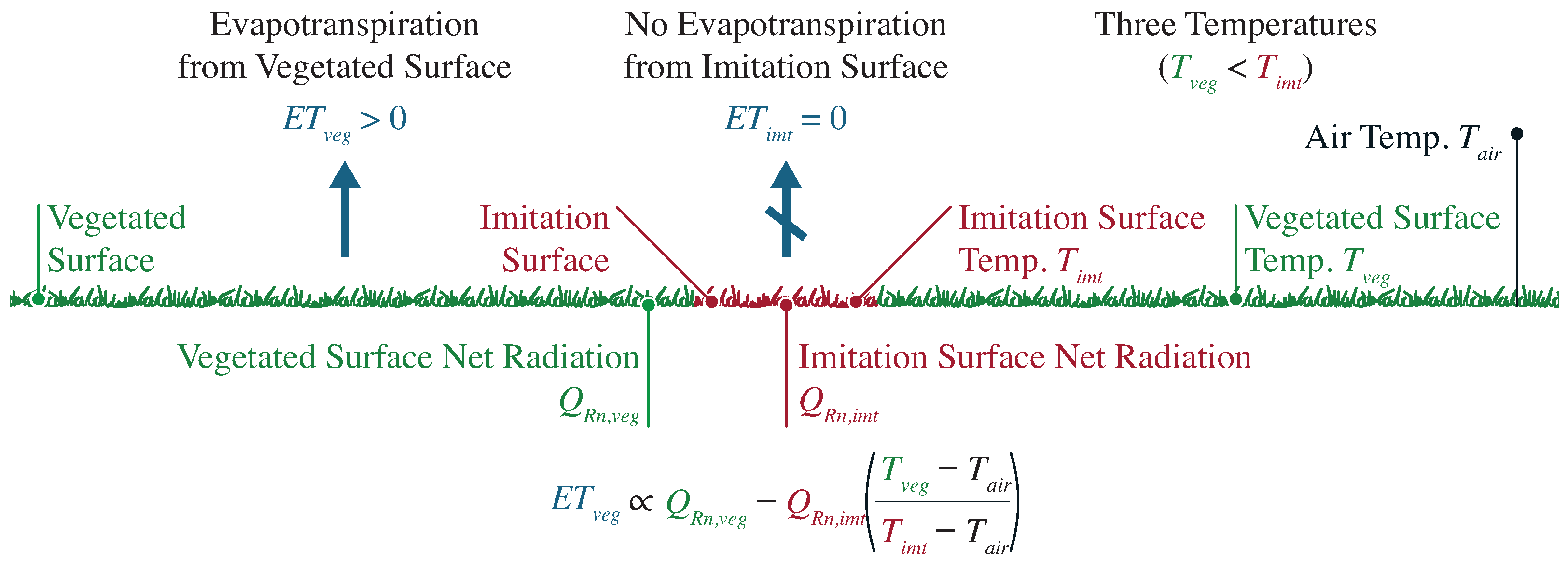 The Estimation of Evapotranspiration Rates from Urban Green ...