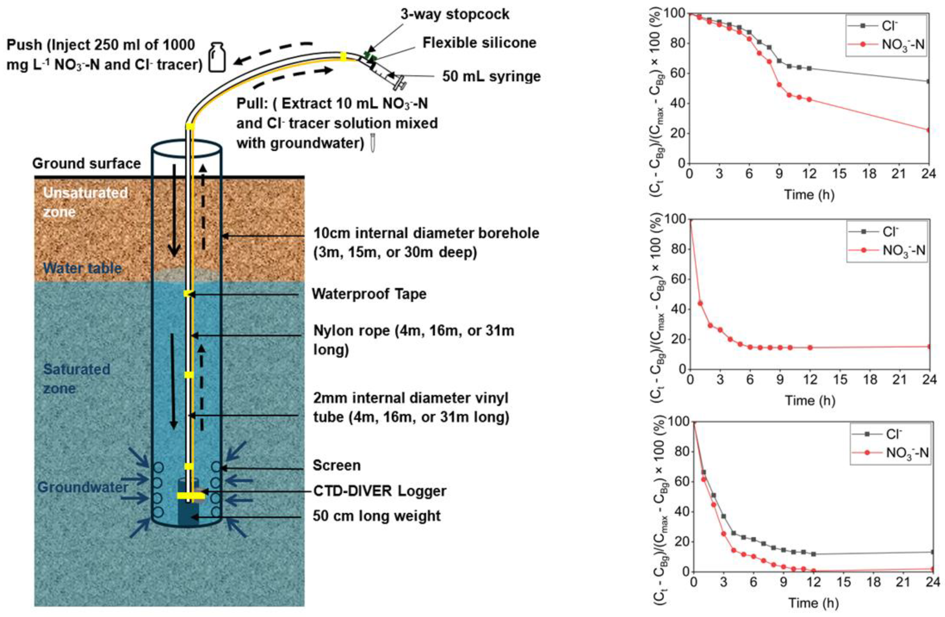 Effects of Groundwater Flux on Denitrification in a Steep Coastal ...