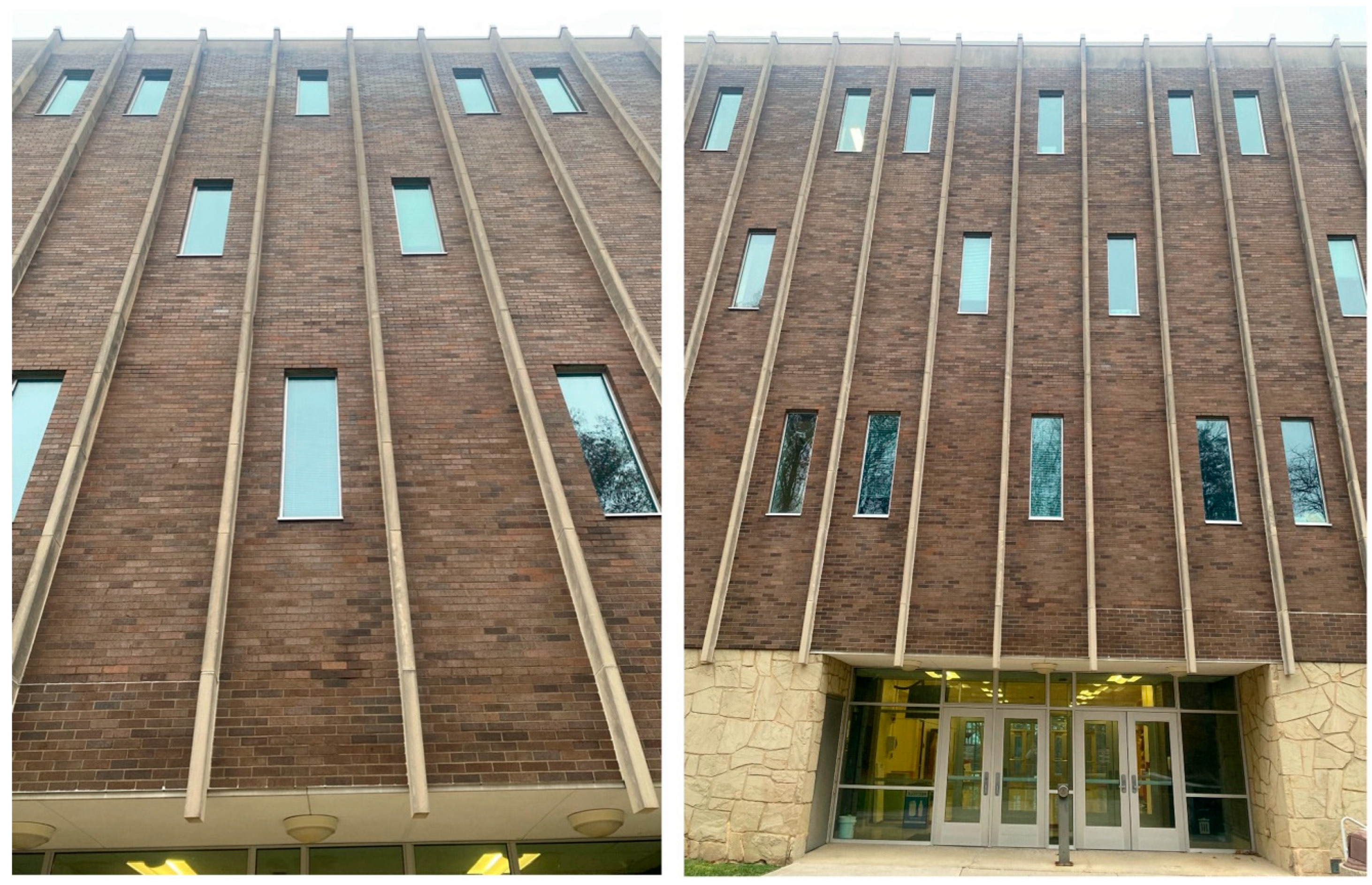 Perceiving New Heights: Head Orientation Influences Height Perception