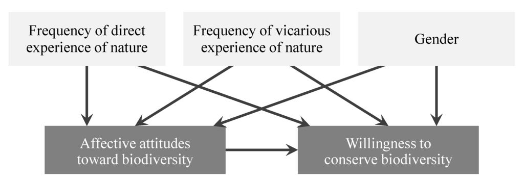 Both Direct and Vicarious Experiences of Nature Affect Children’s ...