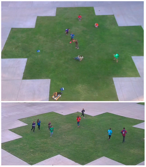 Automated Ecological Assessment of Physical Activity: Advancing Direct ...