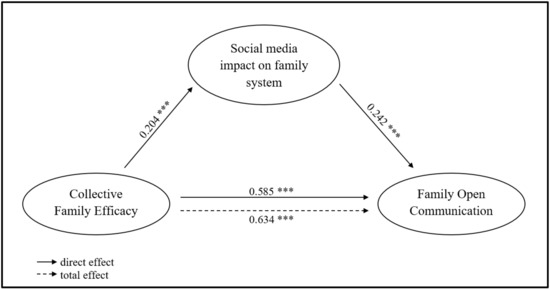 Families and Social Media Use: The Role of Parents’ Perceptions about ...