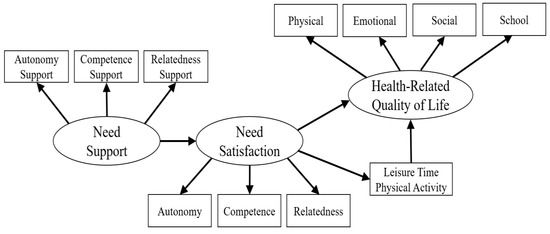 Understanding Adolescents’ Need Support, Need Satisfaction, and Health ...