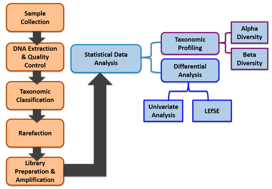 IJERPH | Free Full-Text | Salivary Microbiome and Cigarette Smoking: A ...