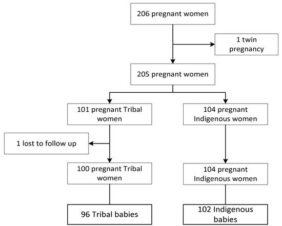 Prenatal Mercury Exposure in Pregnant Women from Suriname’s Interior ...
